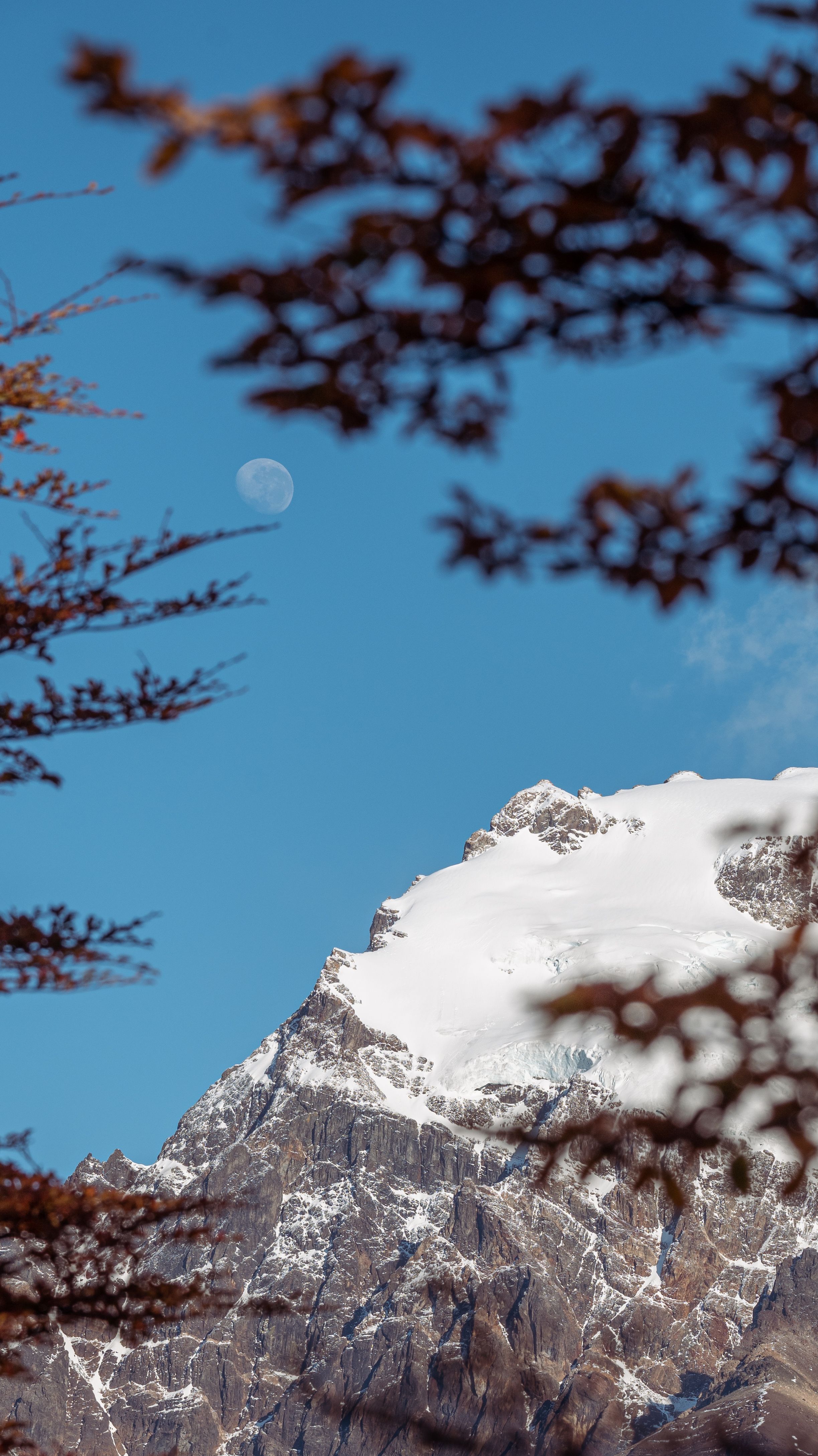 Blue Moon And Mountain Photos, Download The BEST Free Blue Moon And ...