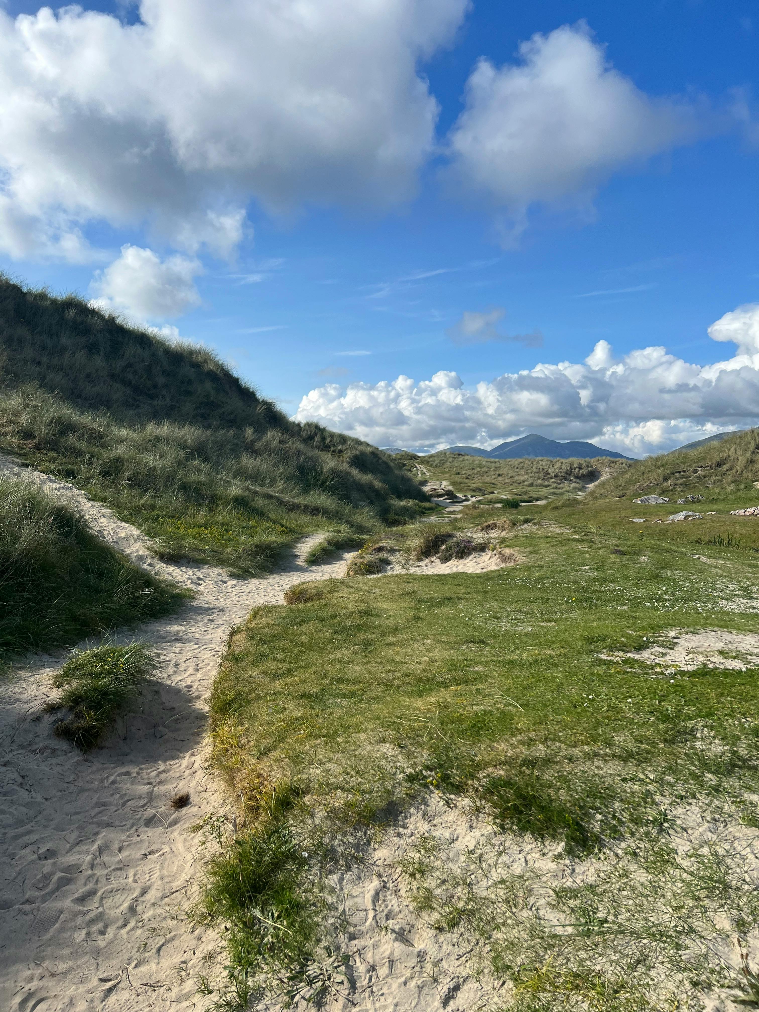 Irma Path Photos, Download The BEST Free Irma Path Stock Photos & HD Images