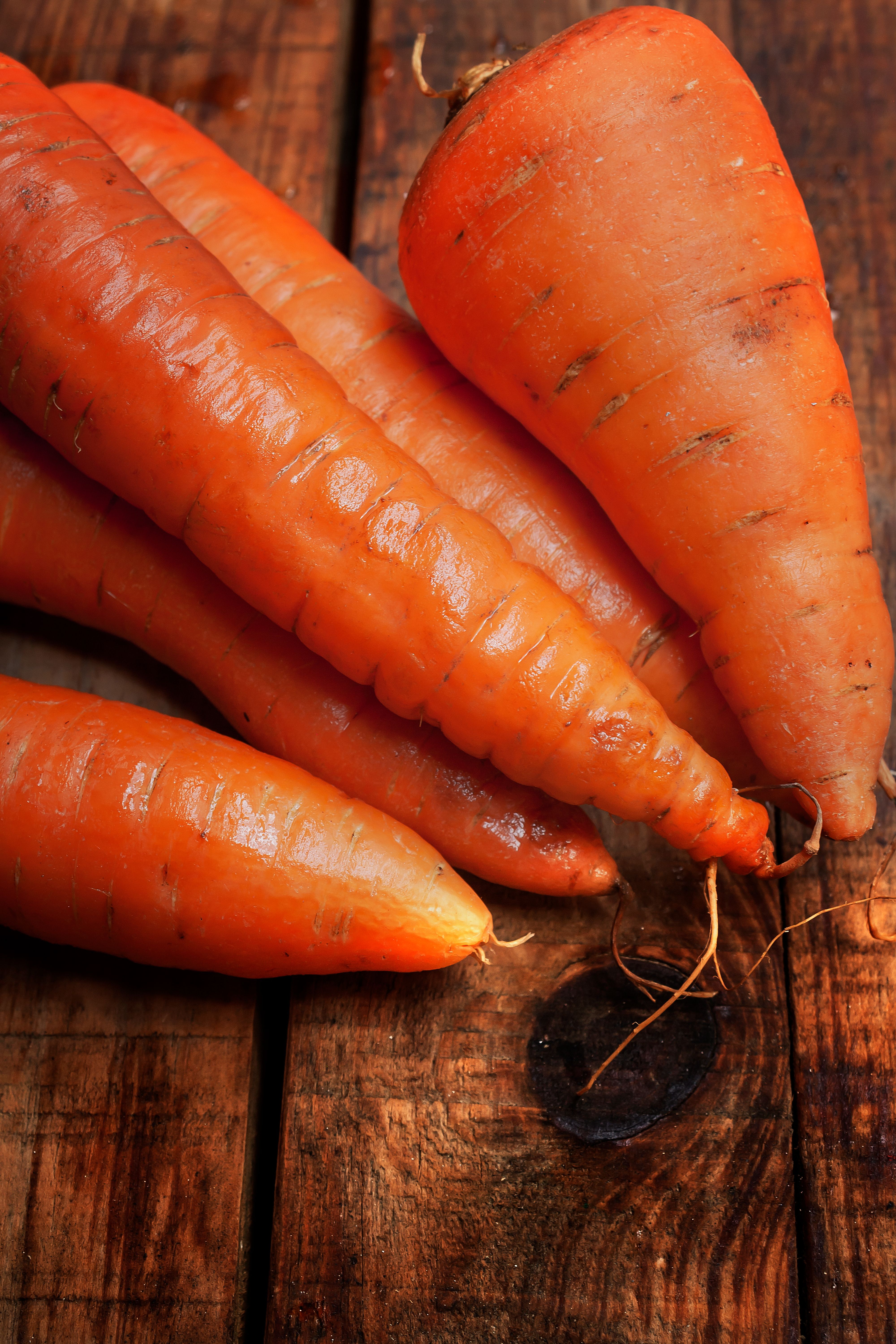 Selective Focus Close-up Photo of Carrots on Wooden Surface · Free ...