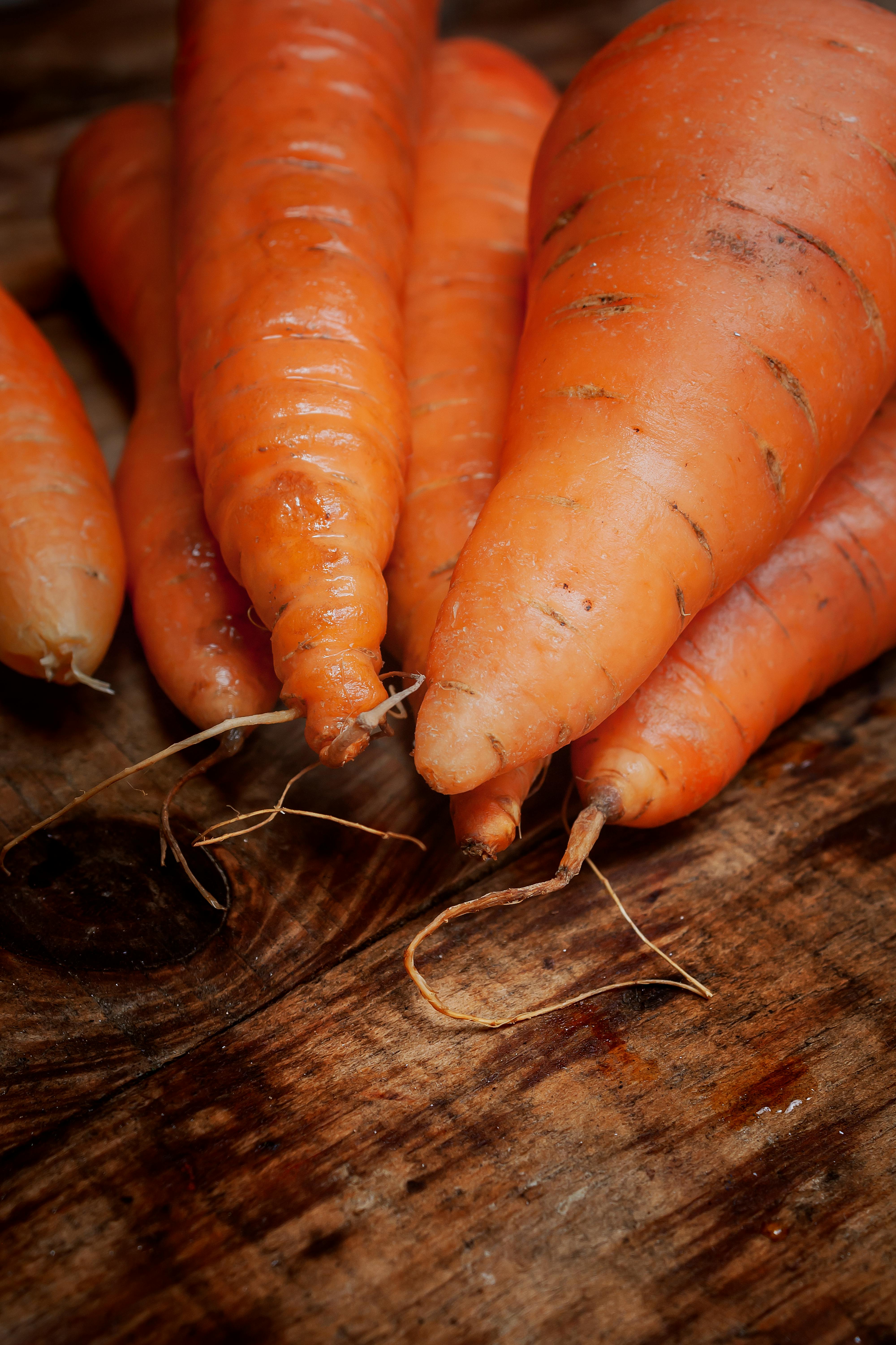 10+ melhores imagens de Seu Tubérculo · Download 100% grátis · Fotos ...