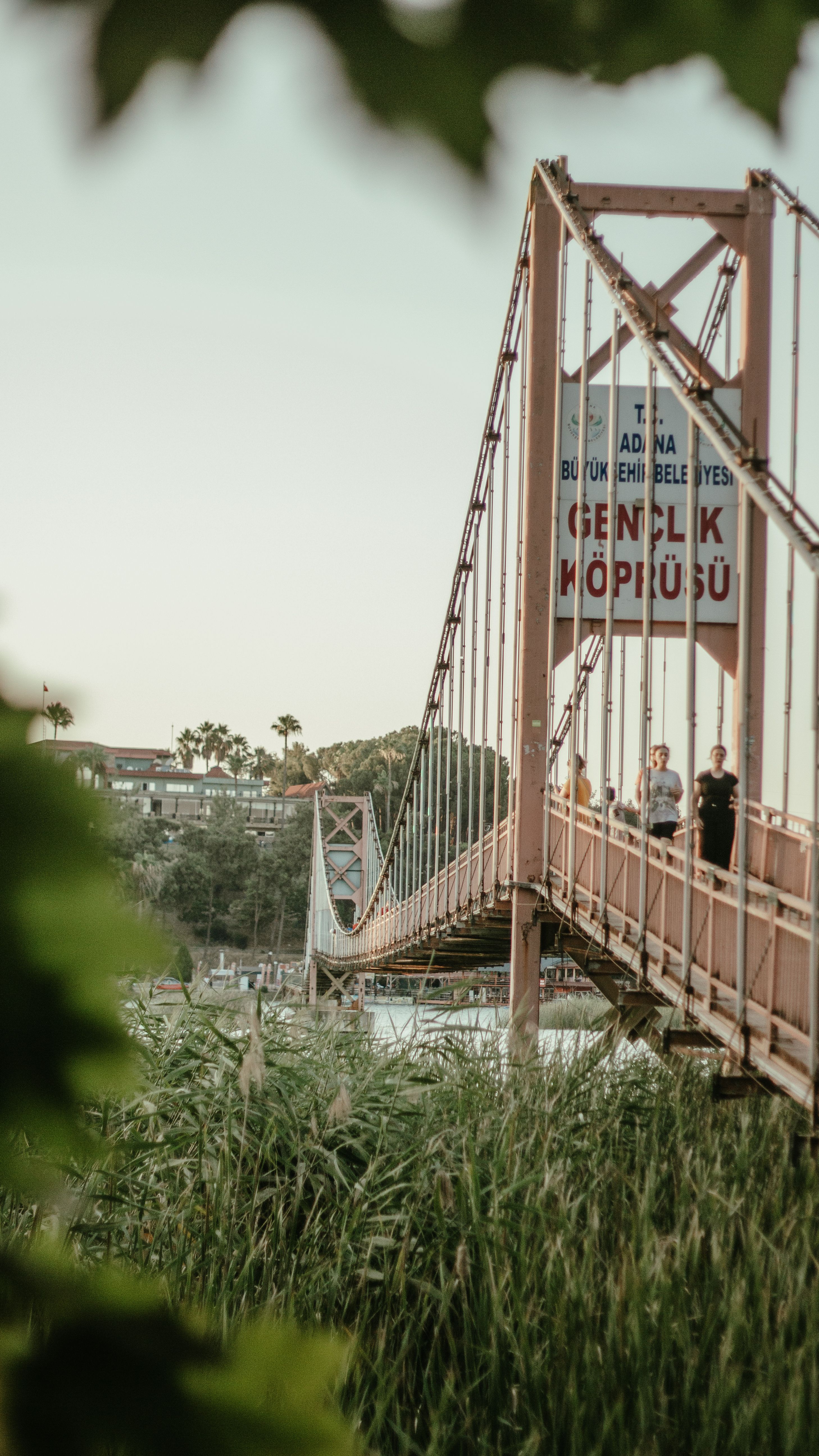 City Park in Summer with a Bridge in the Background · Free Stock Photo