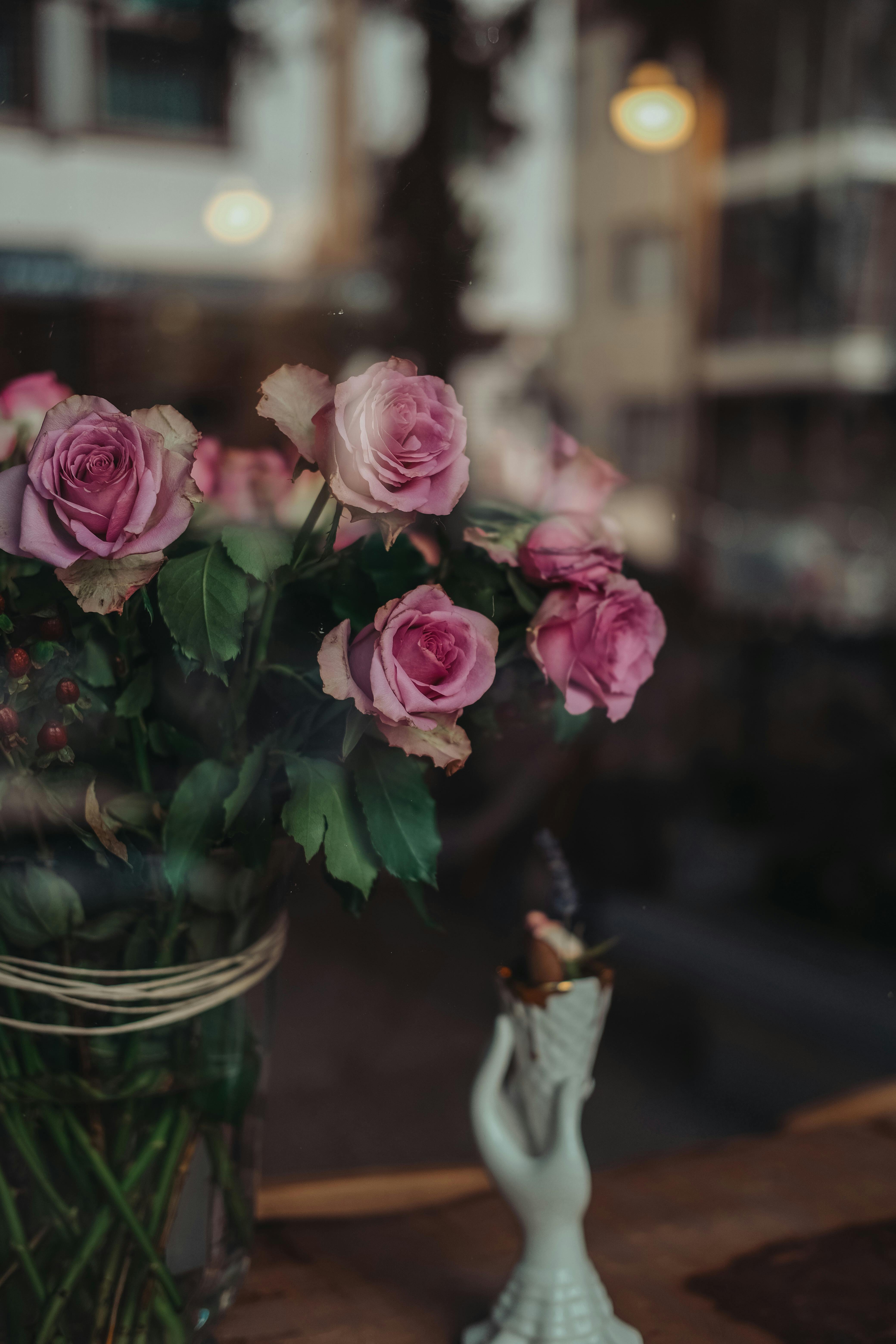 Bundle Of Roses Photos, Download The BEST Free Bundle Of Roses Stock ...