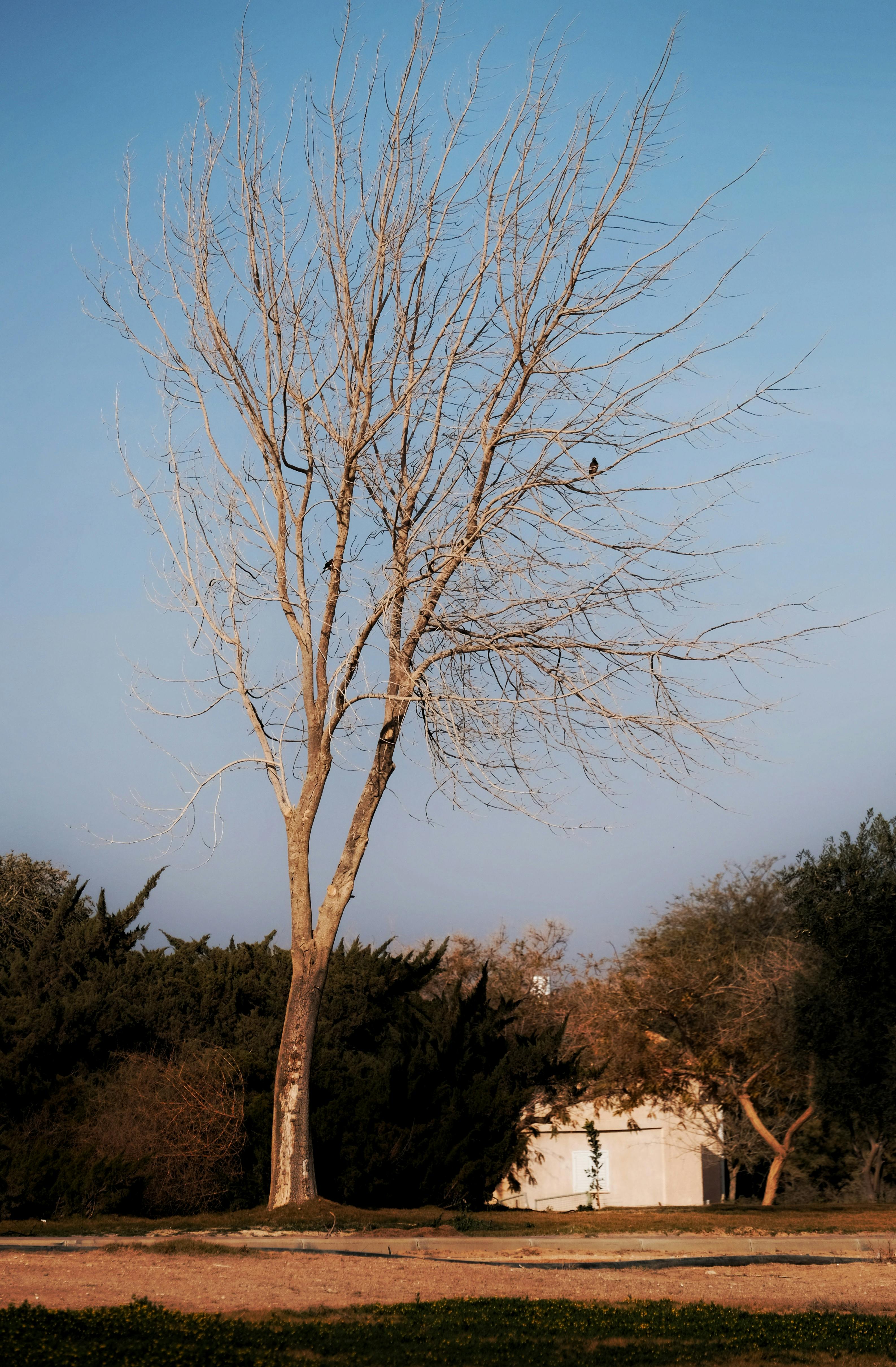 Spring Houses Photos, Download The BEST Free Spring Houses Stock Photos ...