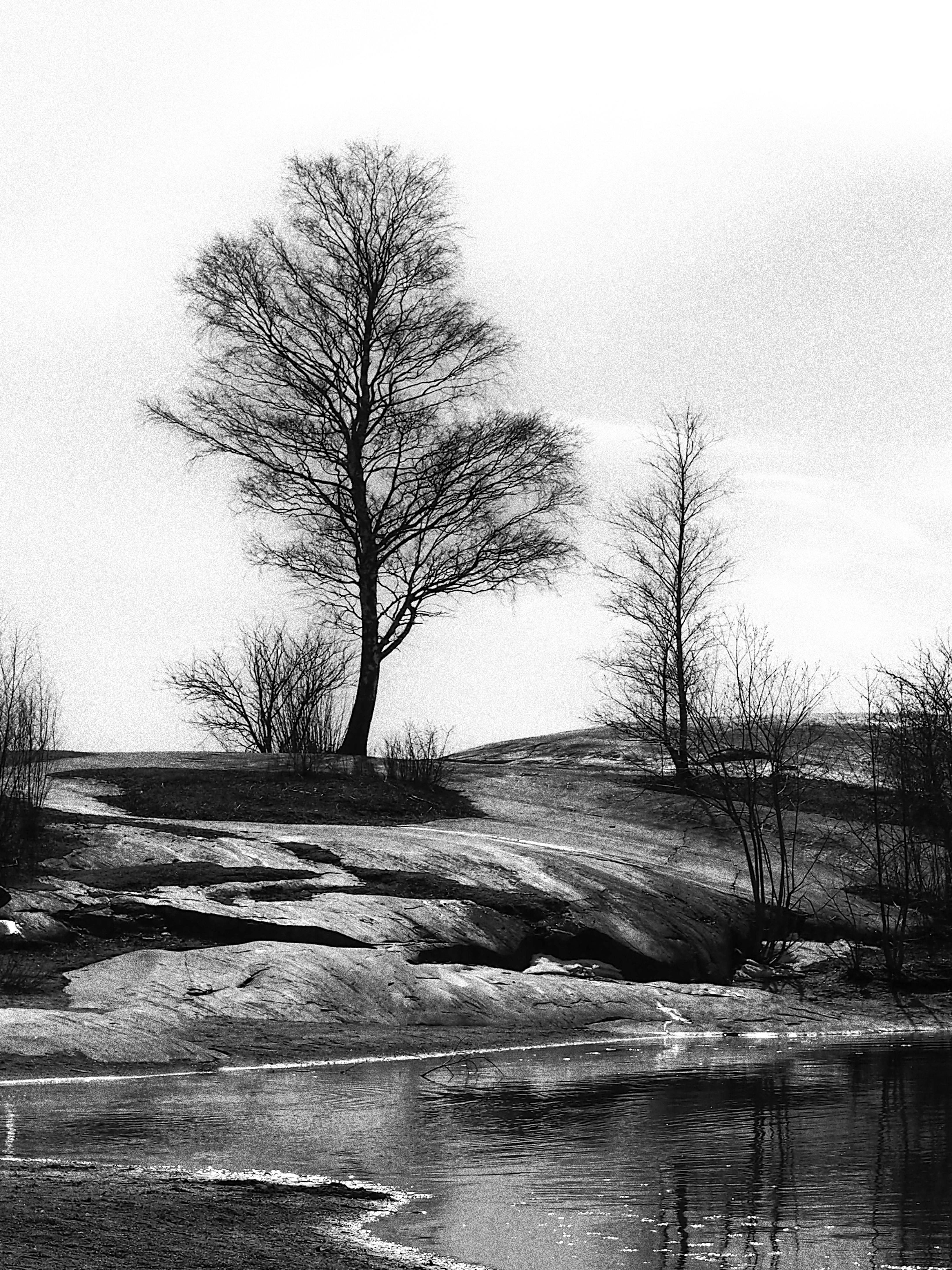 Leonid Danilov - 摄影