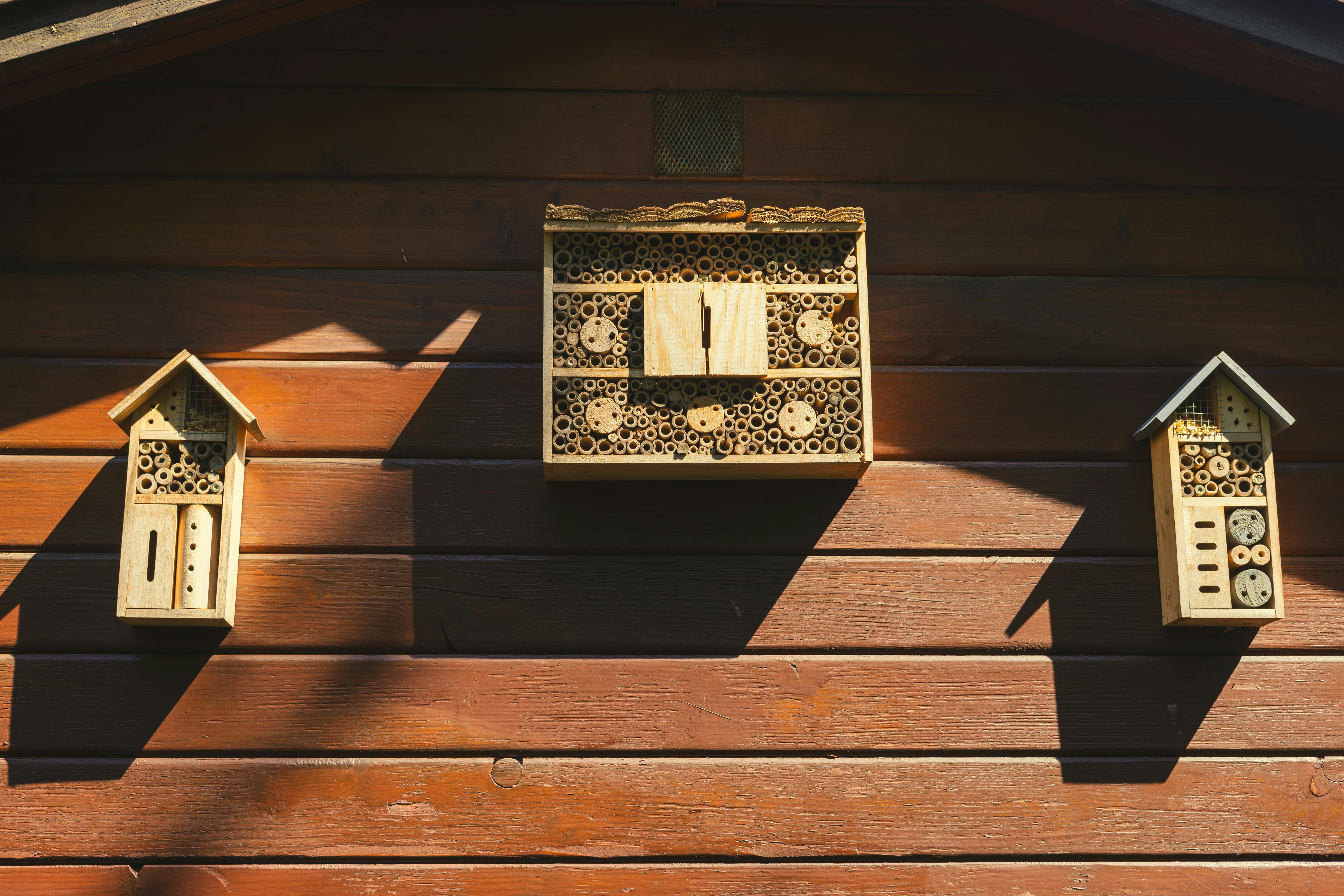 Wooden Insect Hotel Boxes Attached to a Building · Free Stock Photo