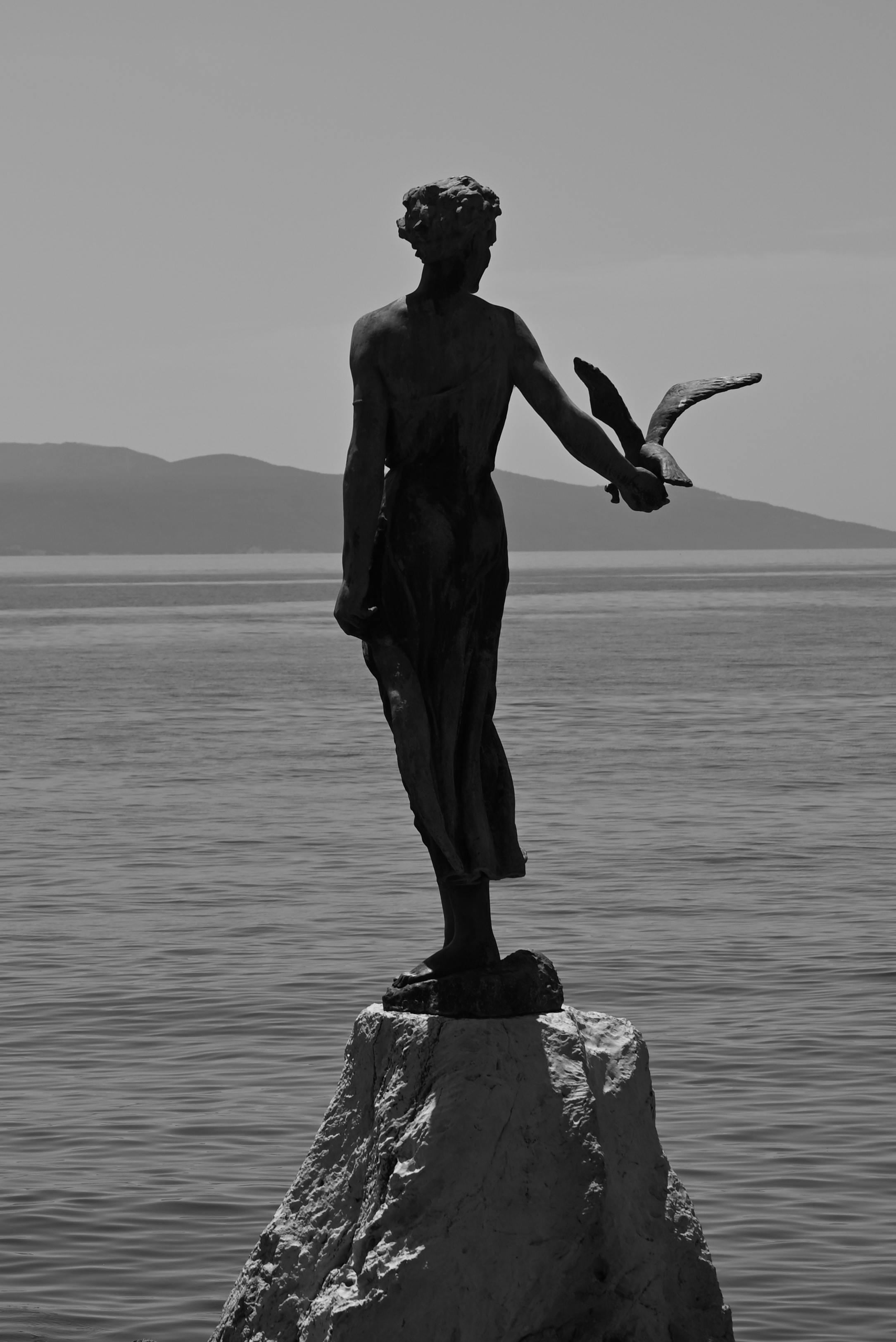 Statue of Person with Seagull on Sea Shore · Free Stock Photo