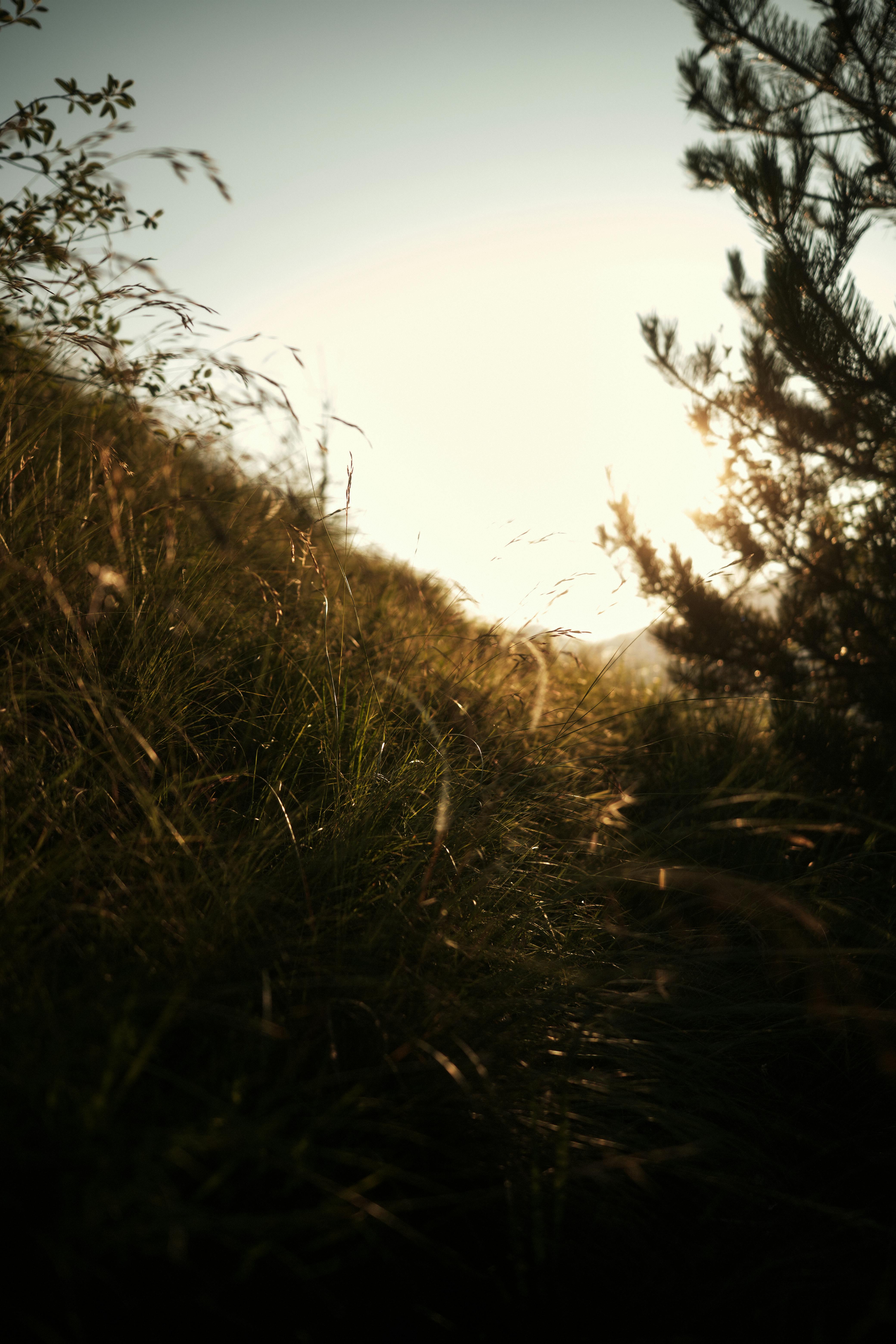 Standing On Cliff Photos, Download The BEST Free Standing On Cliff ...