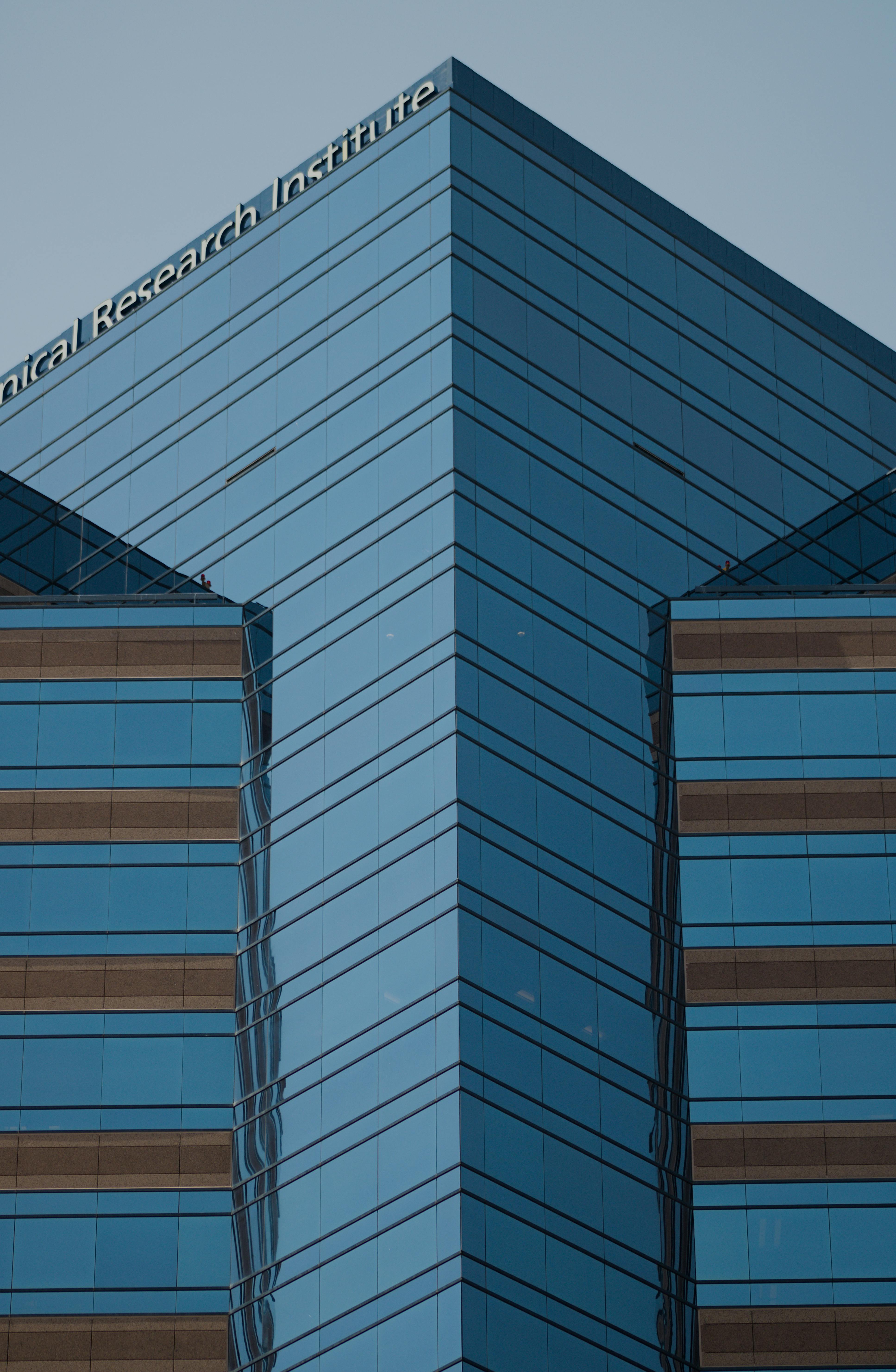 Windows and Wall of Skyscraper · Free Stock Photo