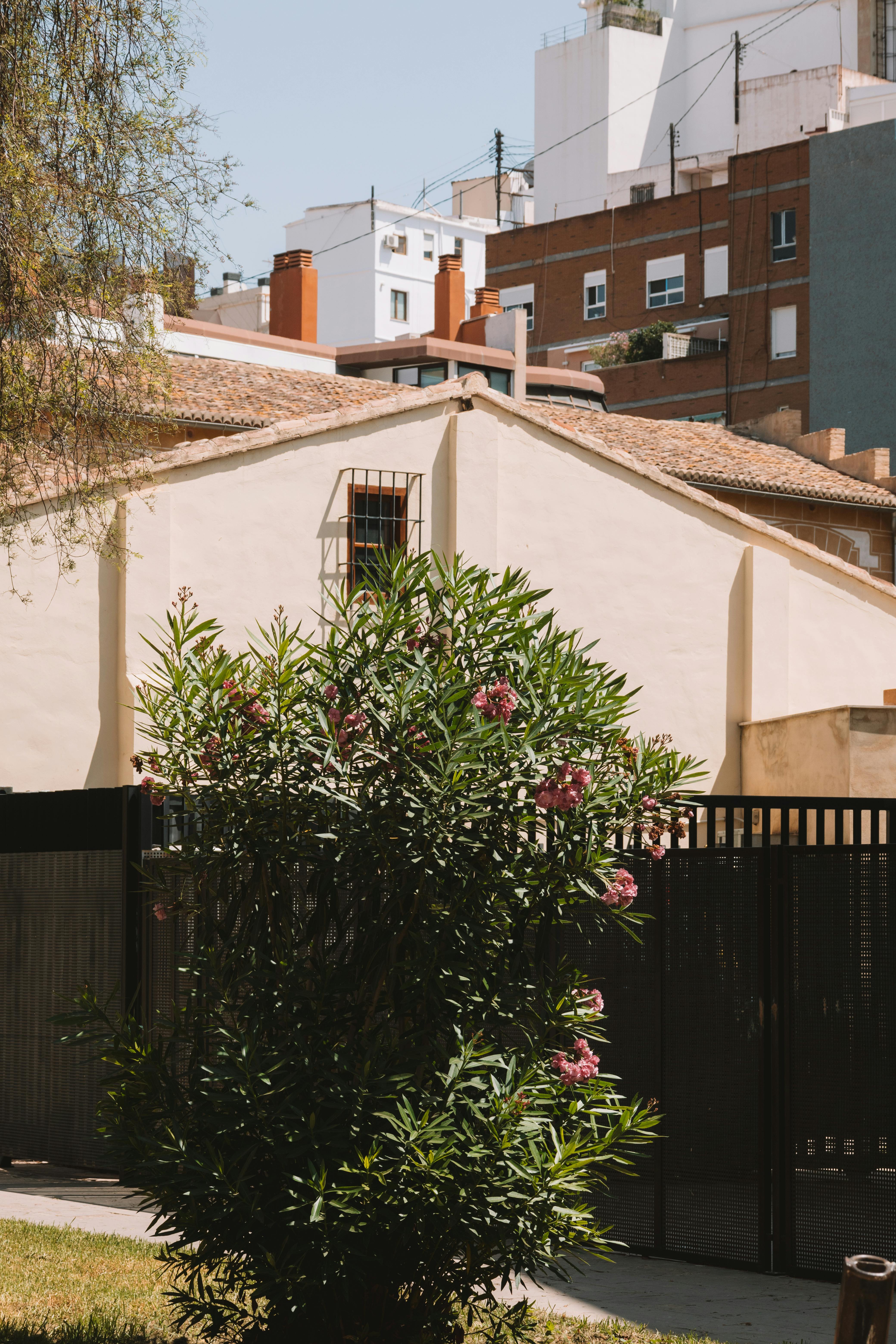 Fence and Bushes near Building · Free Stock Photo