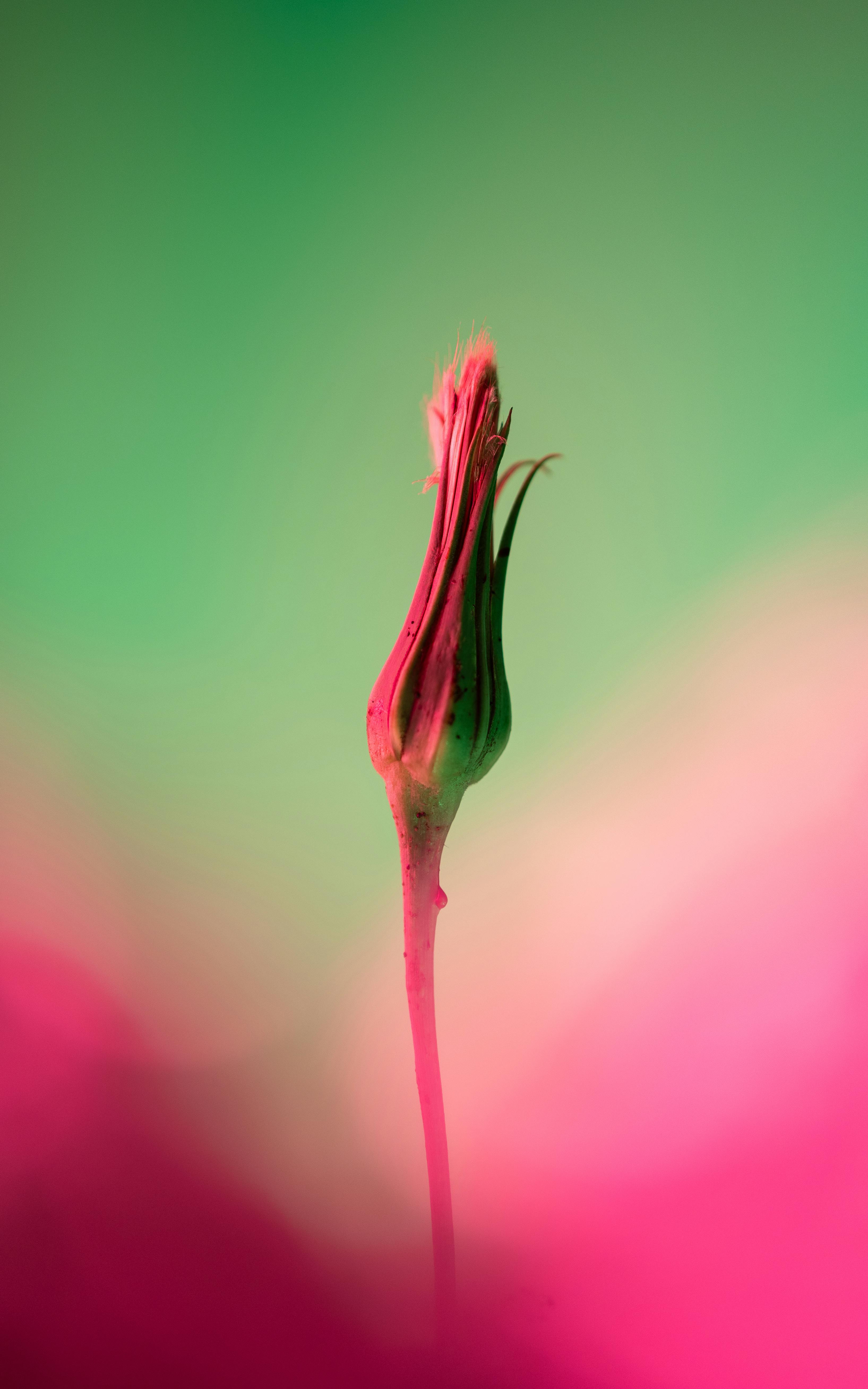 Sensation Photos, Download The BEST Free Sensation Stock Photos & HD Images