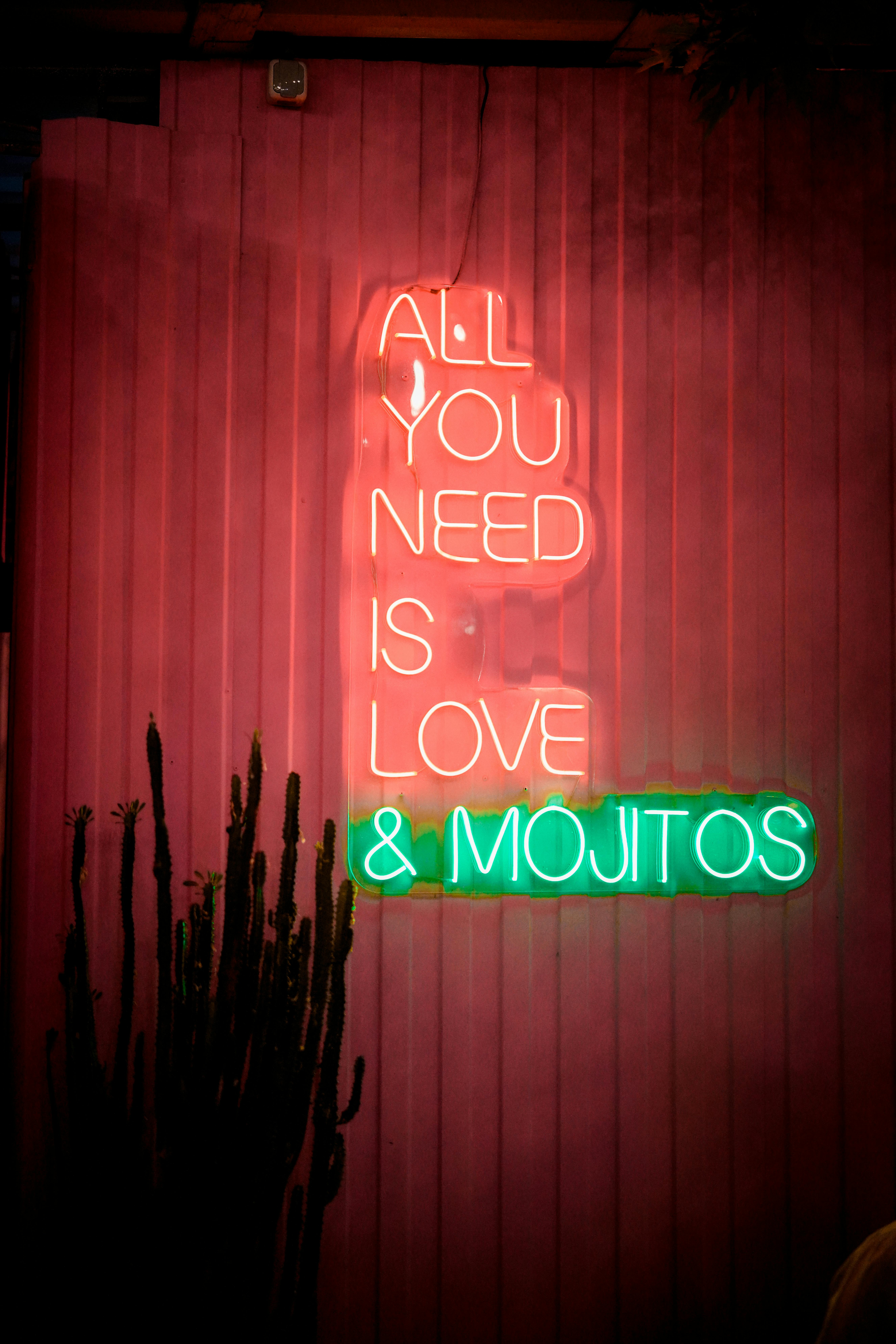 Neon Sign on a Bar at Night · Free Stock Photo