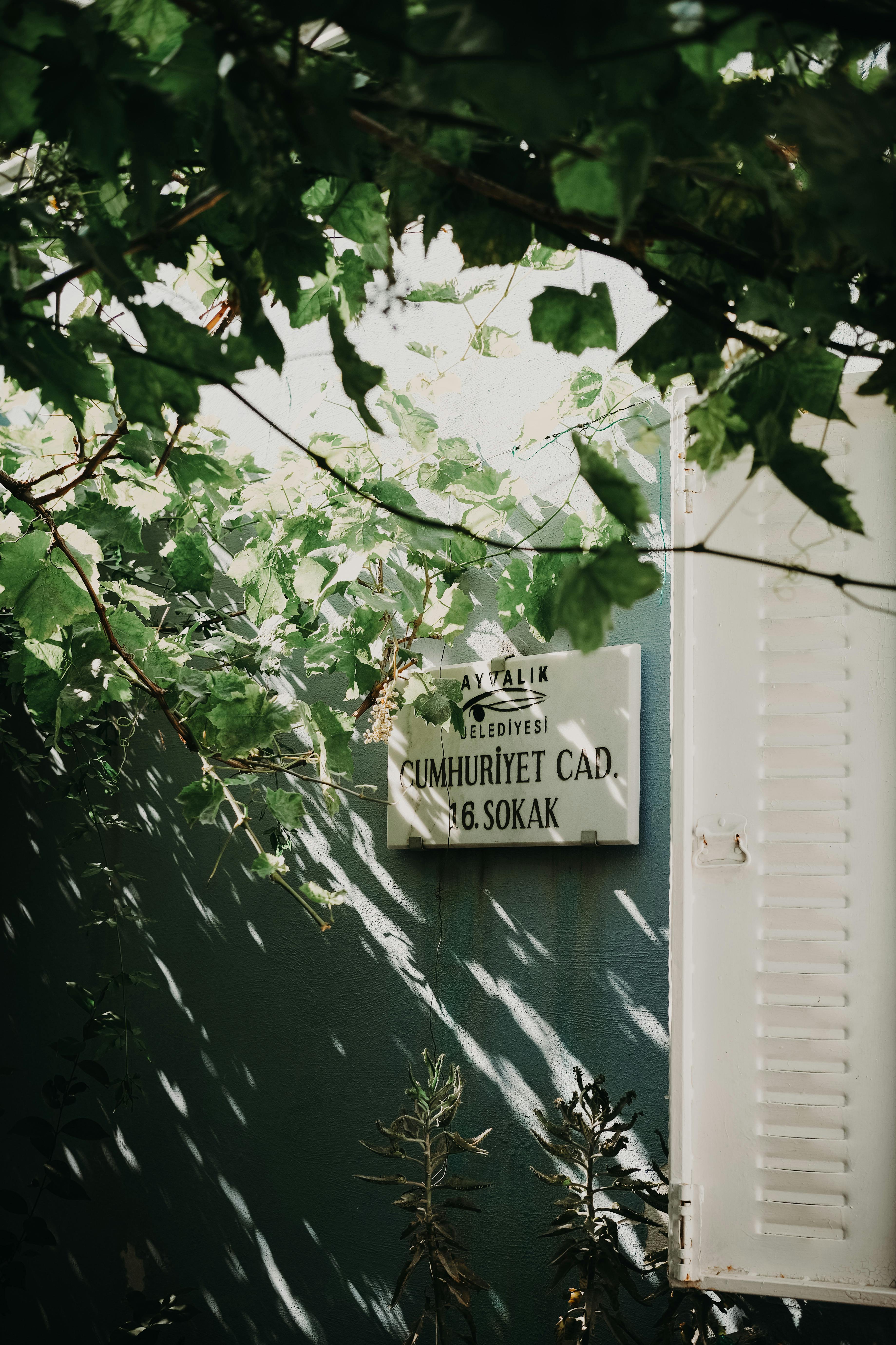 Sign on a Building in Sunlight · Free Stock Photo