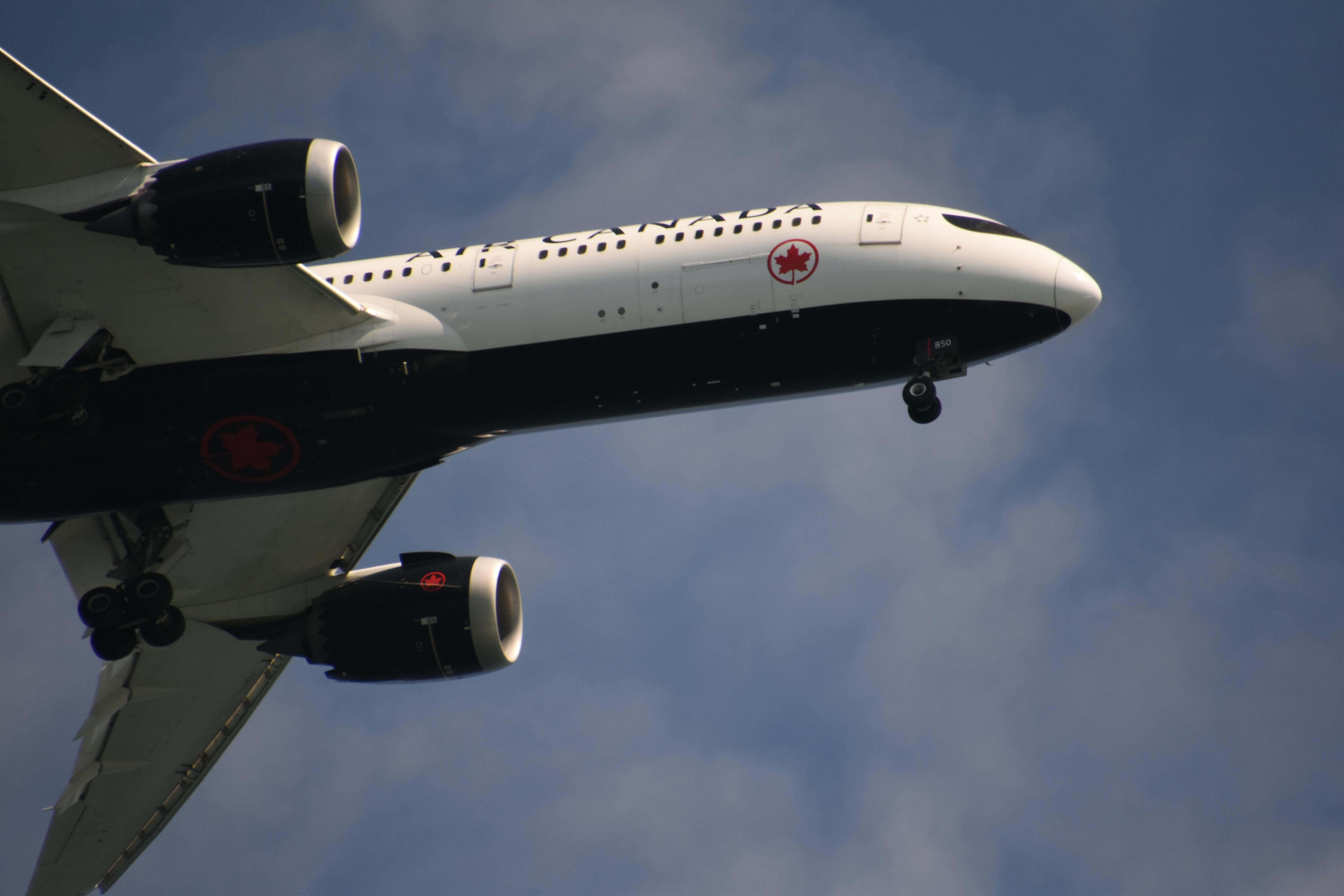 Elizabeth Olson - Φωτογραφία