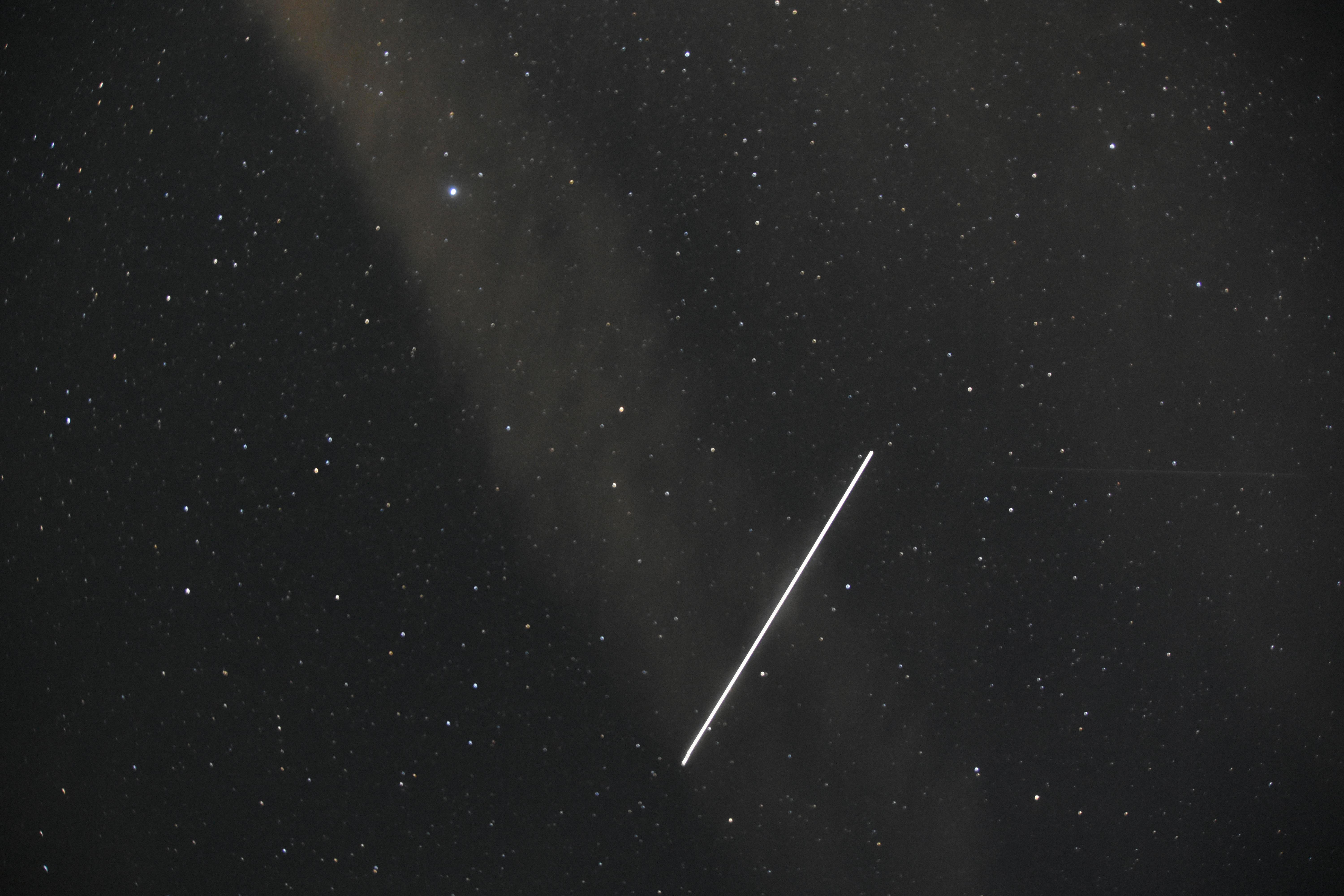 Elizabeth Olson - Φωτογραφία