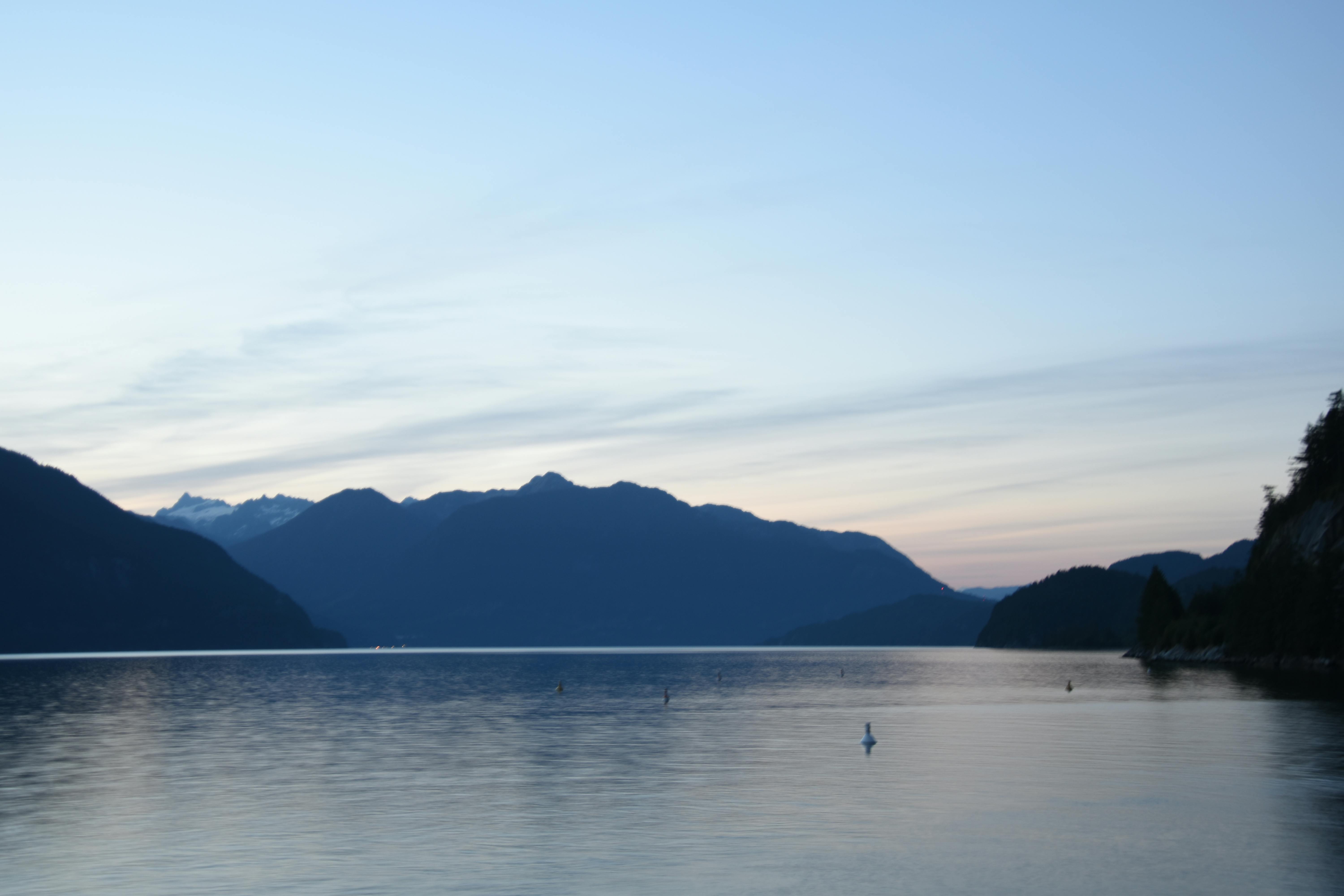 Elizabeth Olson – Fotografia