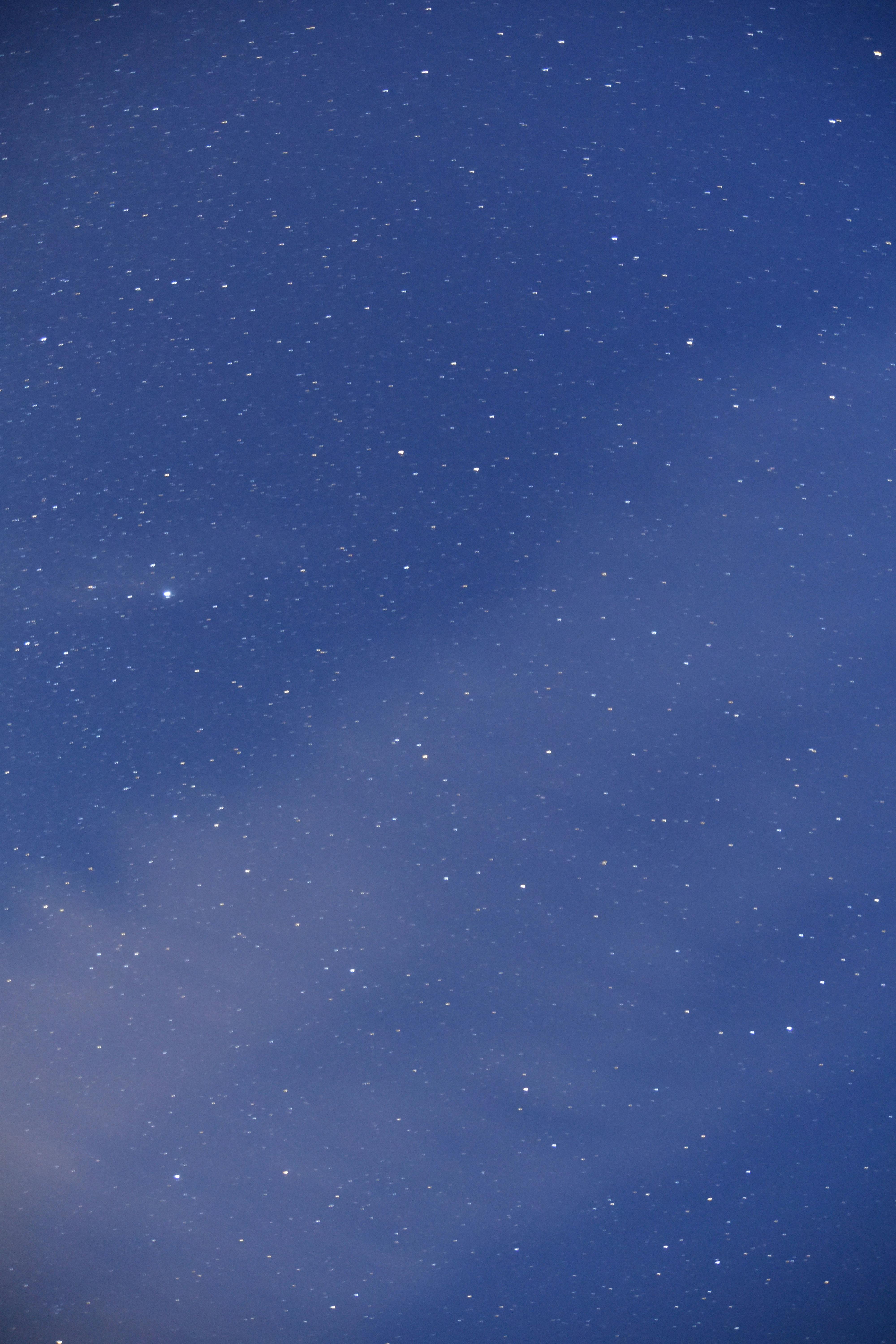 Elizabeth Olson - Φωτογραφία