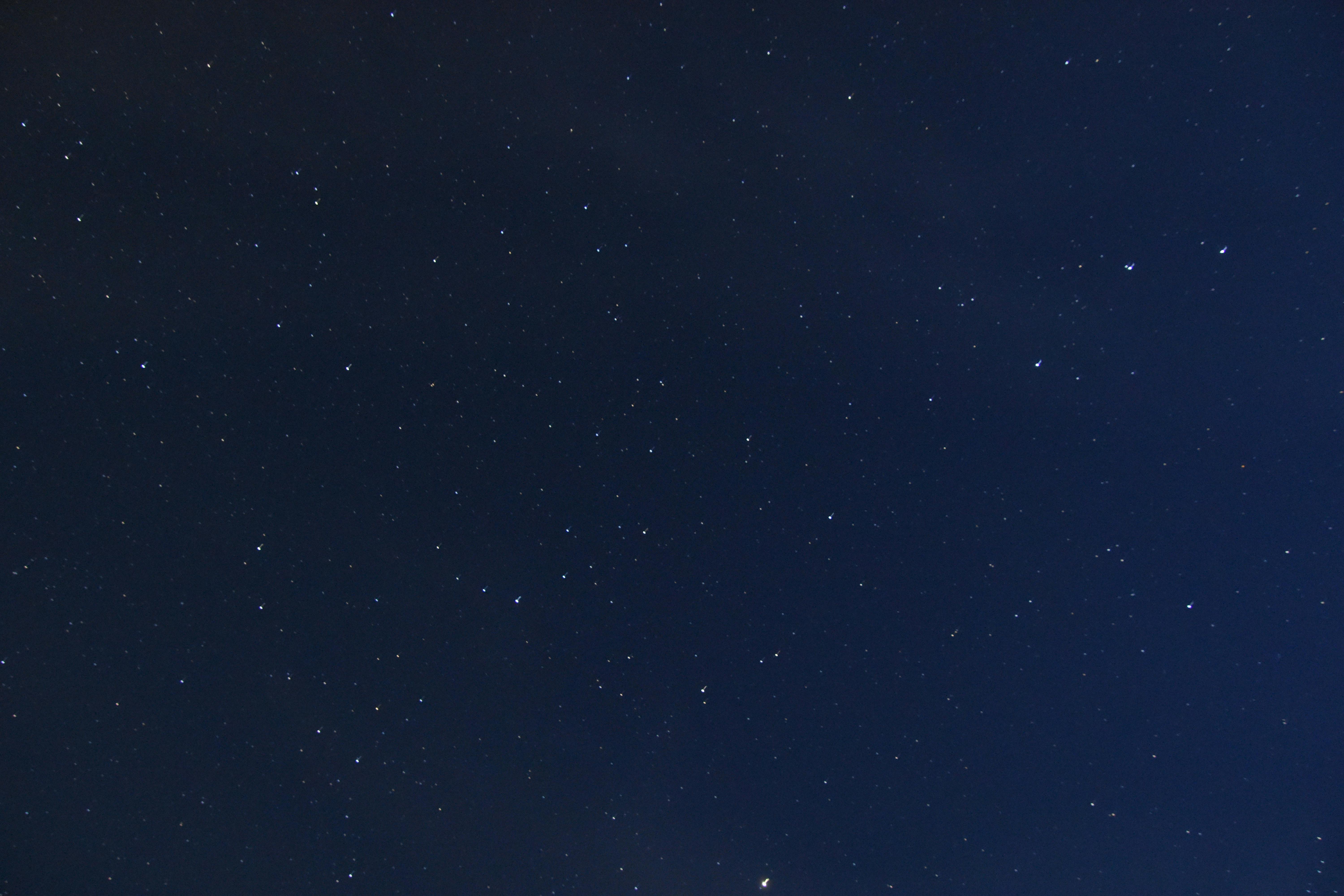 Elizabeth Olson - Φωτογραφία