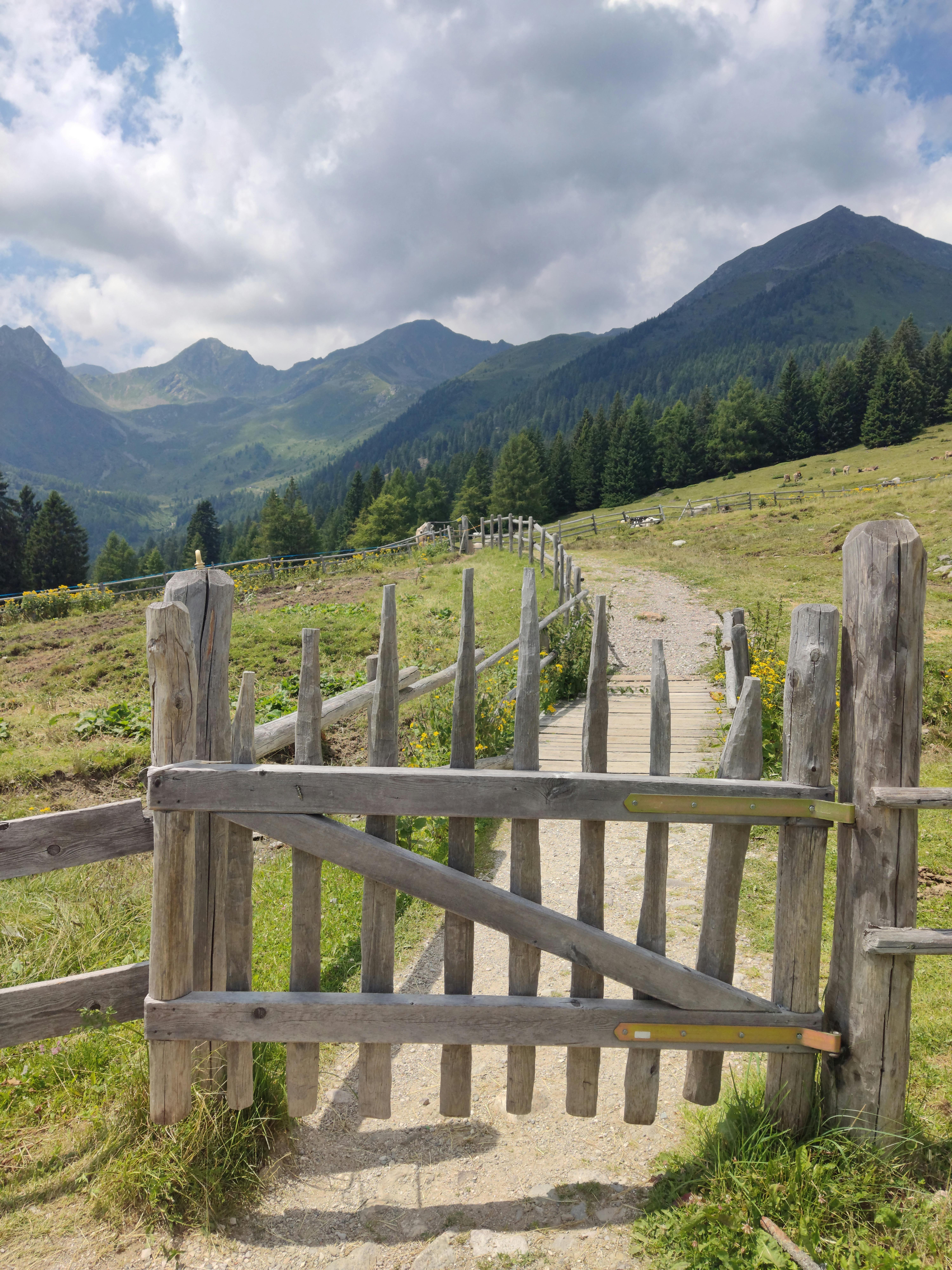 Wooden Gate on Trail on Hillside · Free Stock Photo