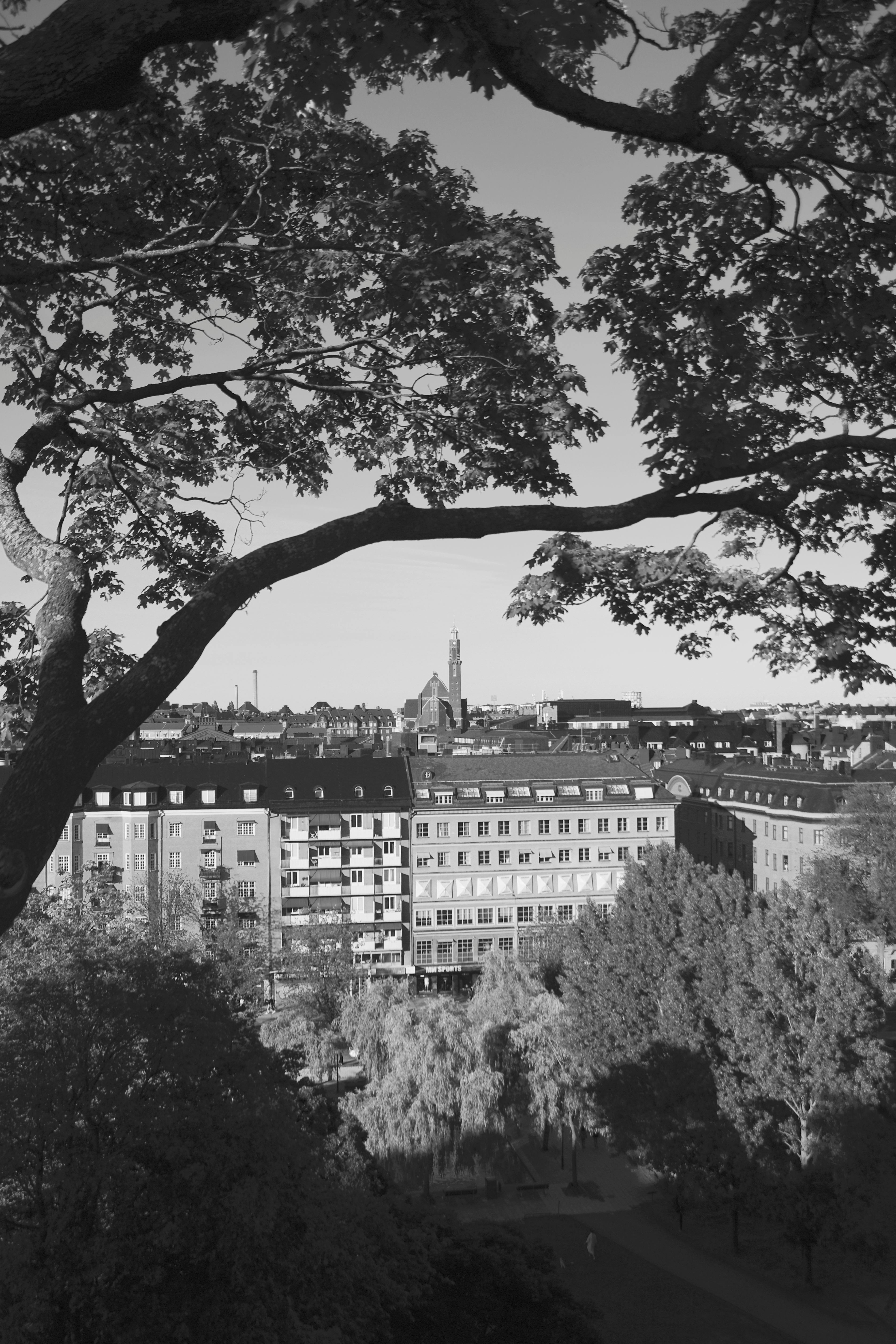 En İyi Rist ติดตามการทดสอบการขับขี่ Fotoğrafları · Tamamen Ücretsiz ...