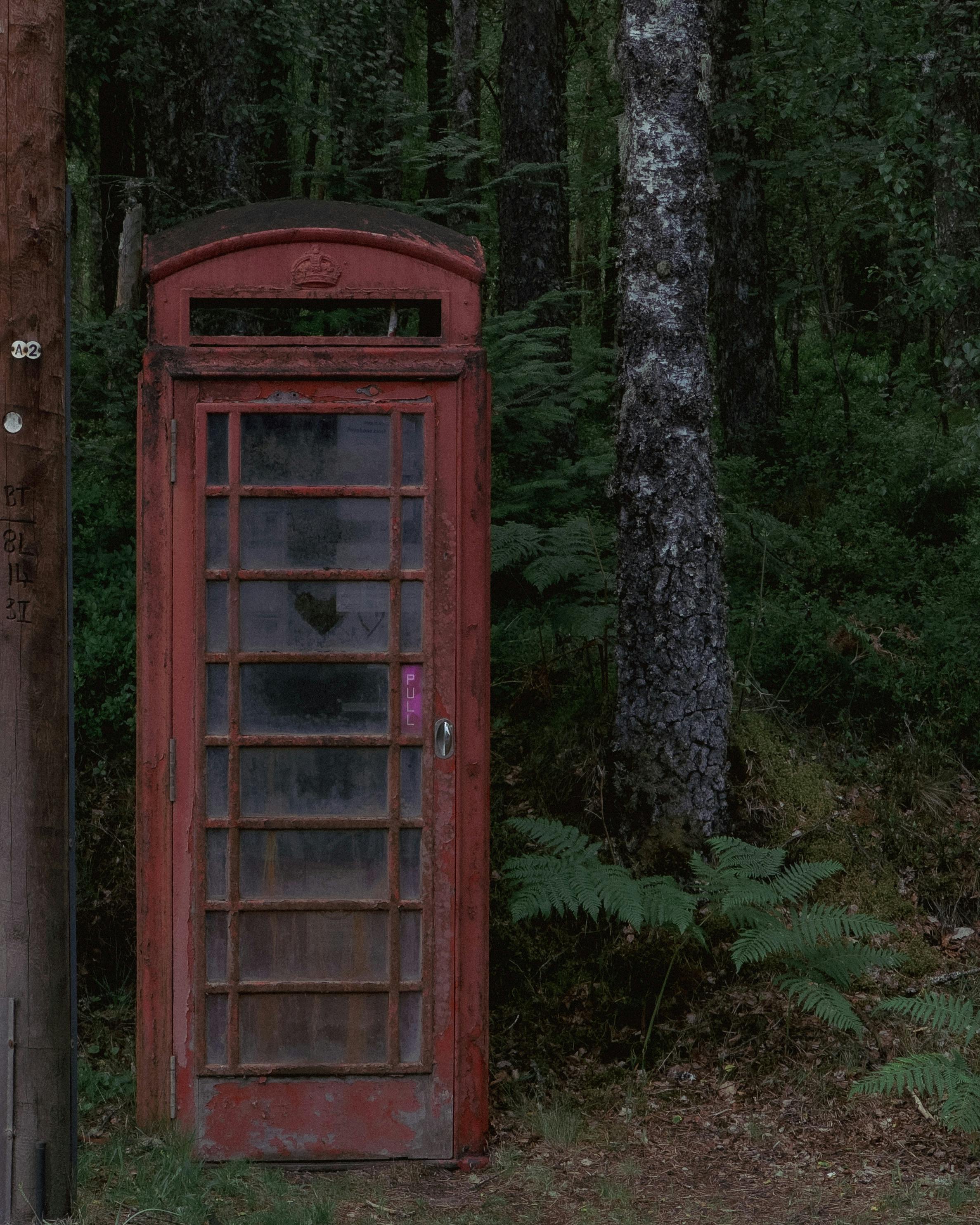 Abandoned Phone Booth in the Forest · Free Stock Photo