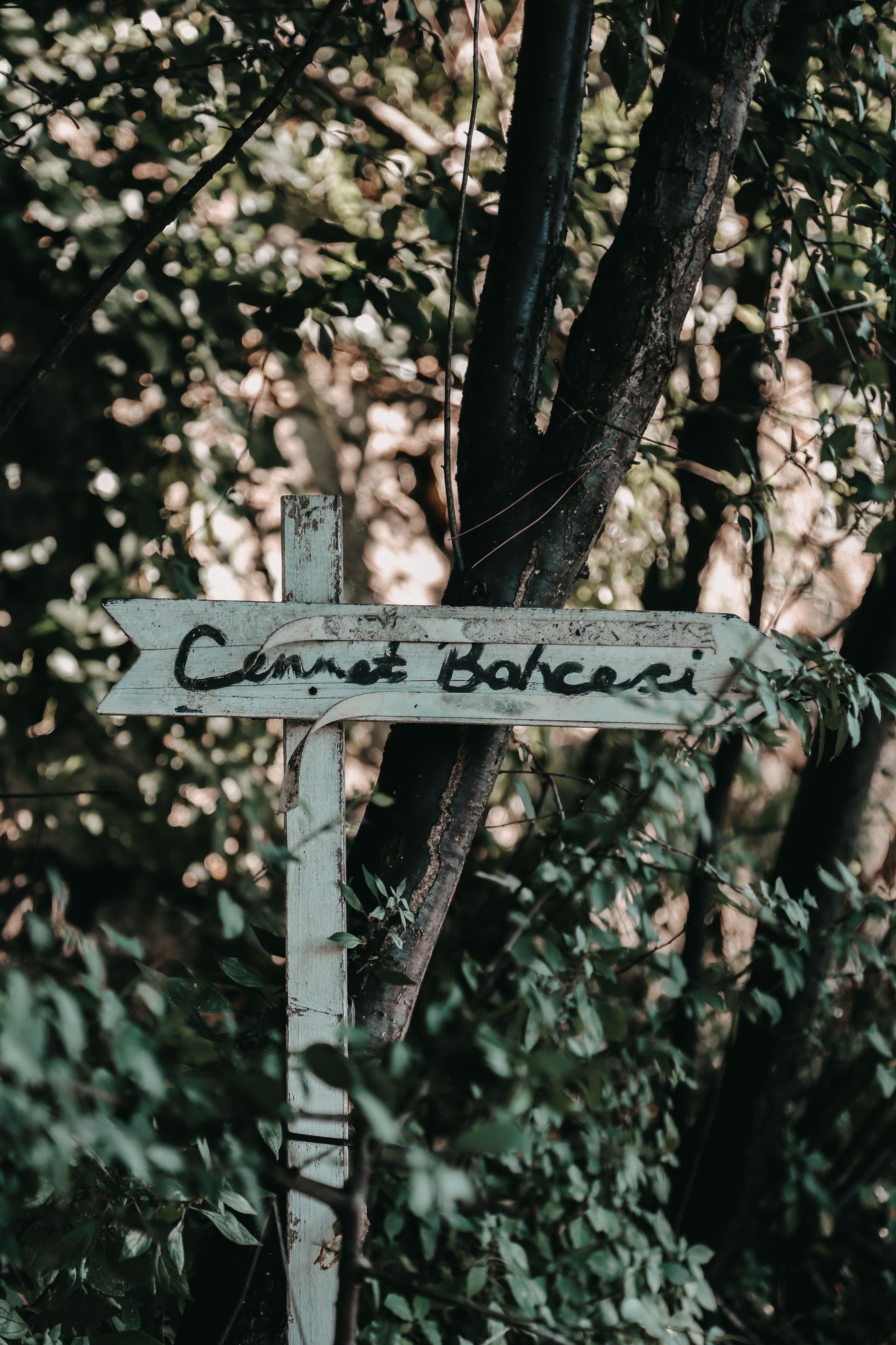 Directional Signages Hanging on the Wall · Free Stock Photo