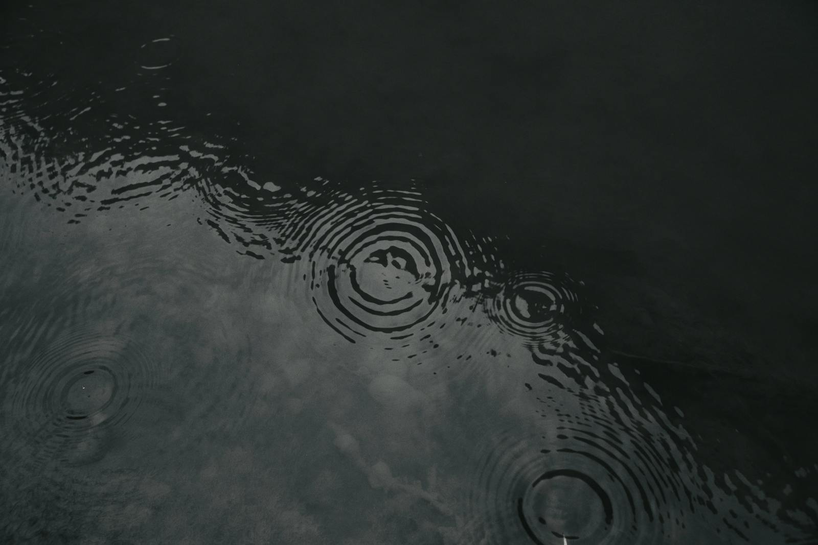 Rain Ripples Photos, Download The BEST Free Rain Ripples Stock Photos ...