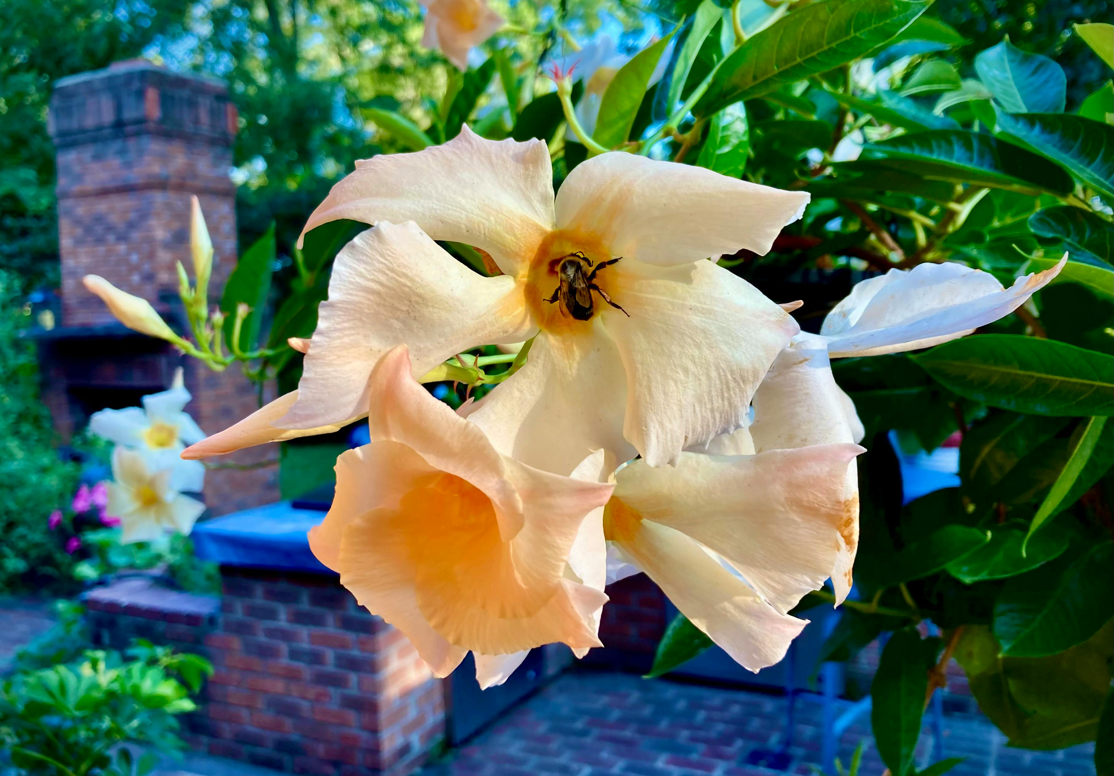 Lynn Nash - Photography