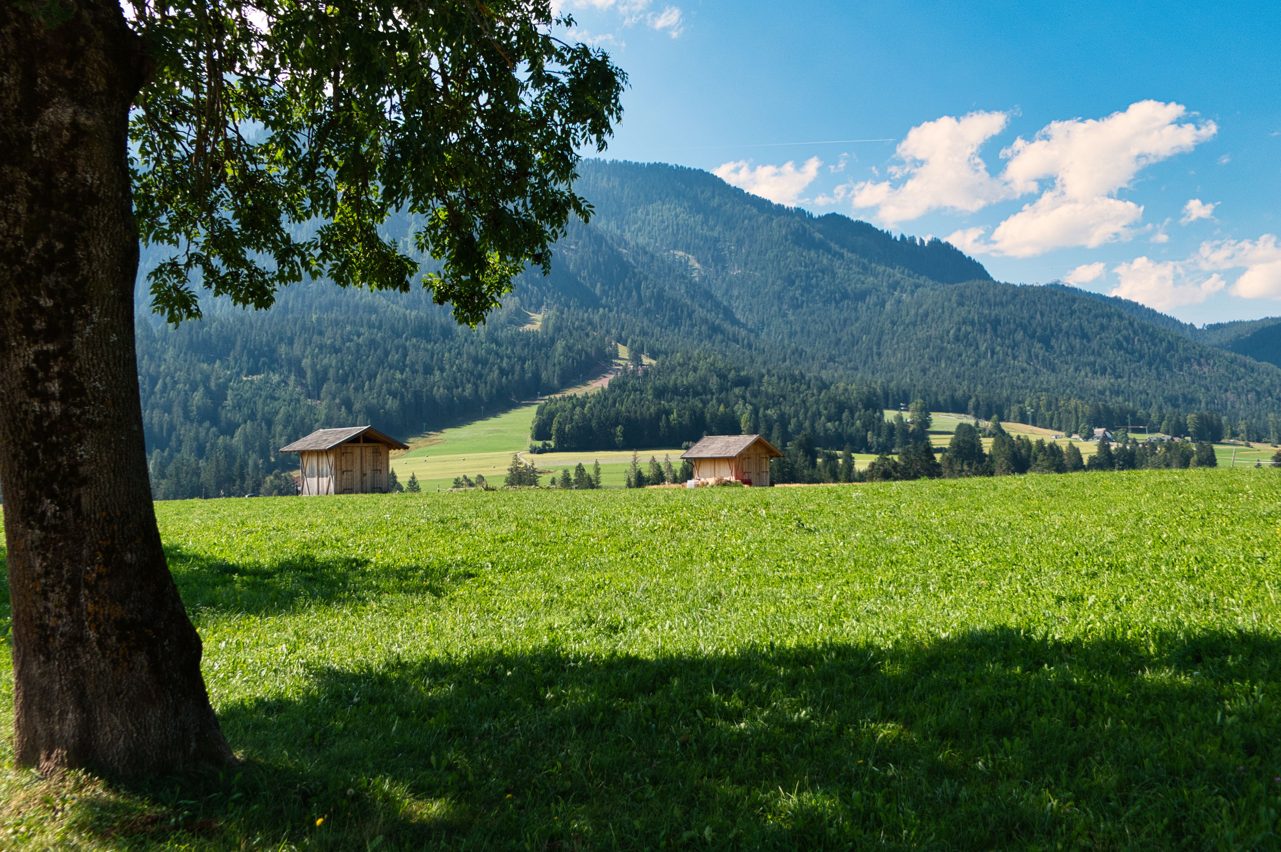 Green Meadows on the Hills · Free Stock Photo