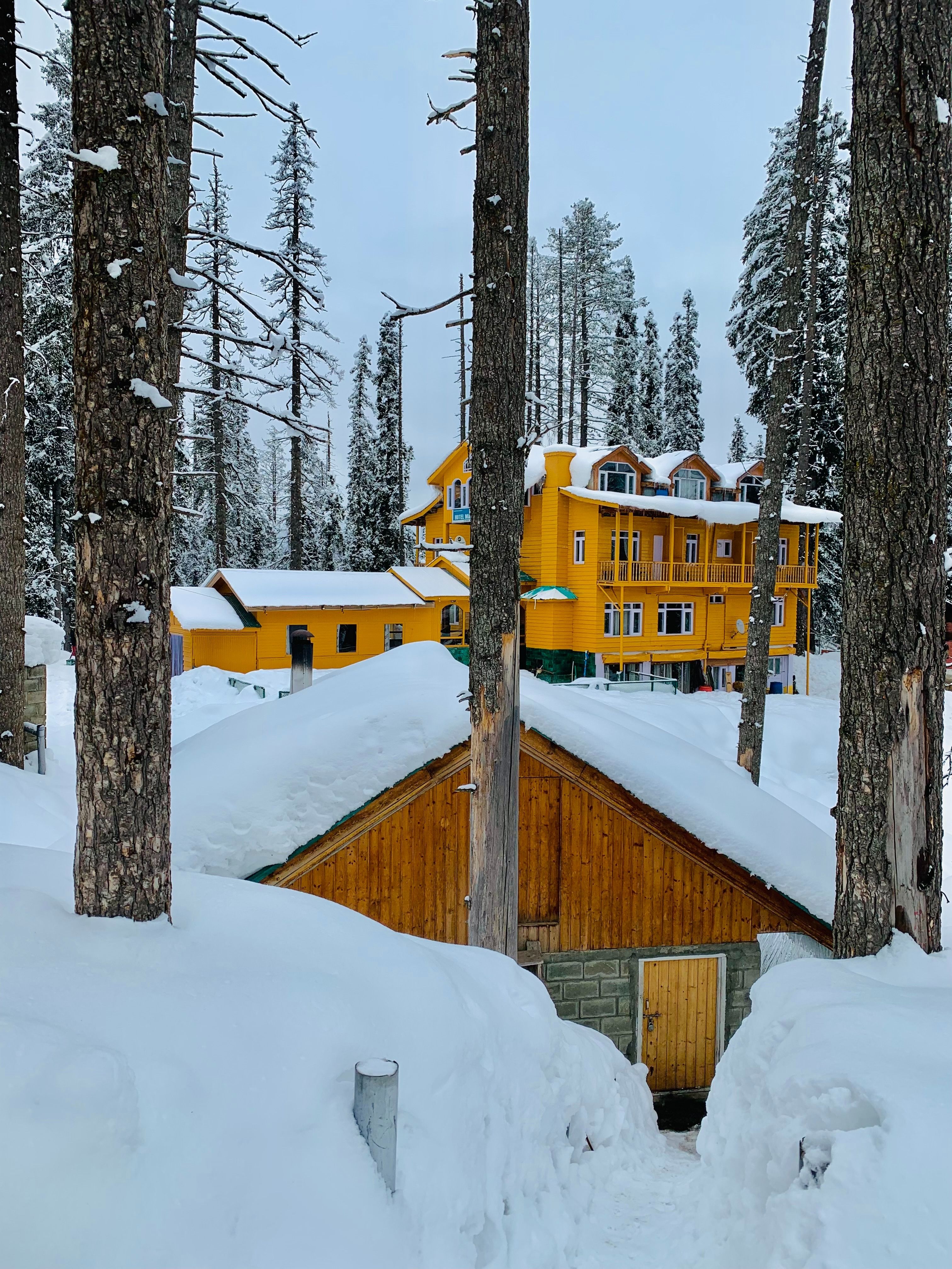 Snow Covered Buildings in the Forest · Free Stock Photo
