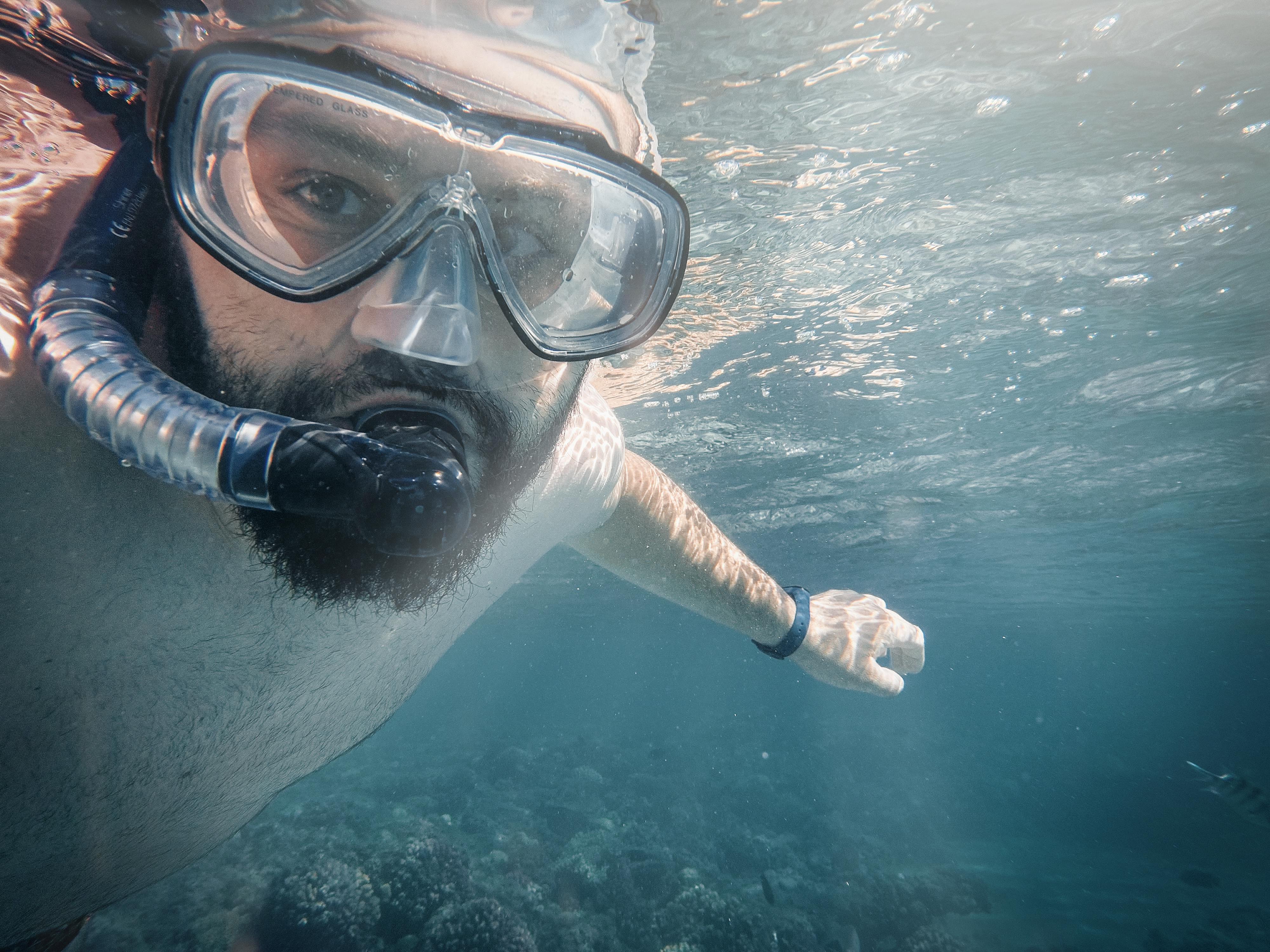 Man Scuba Diving · Free Stock Photo
