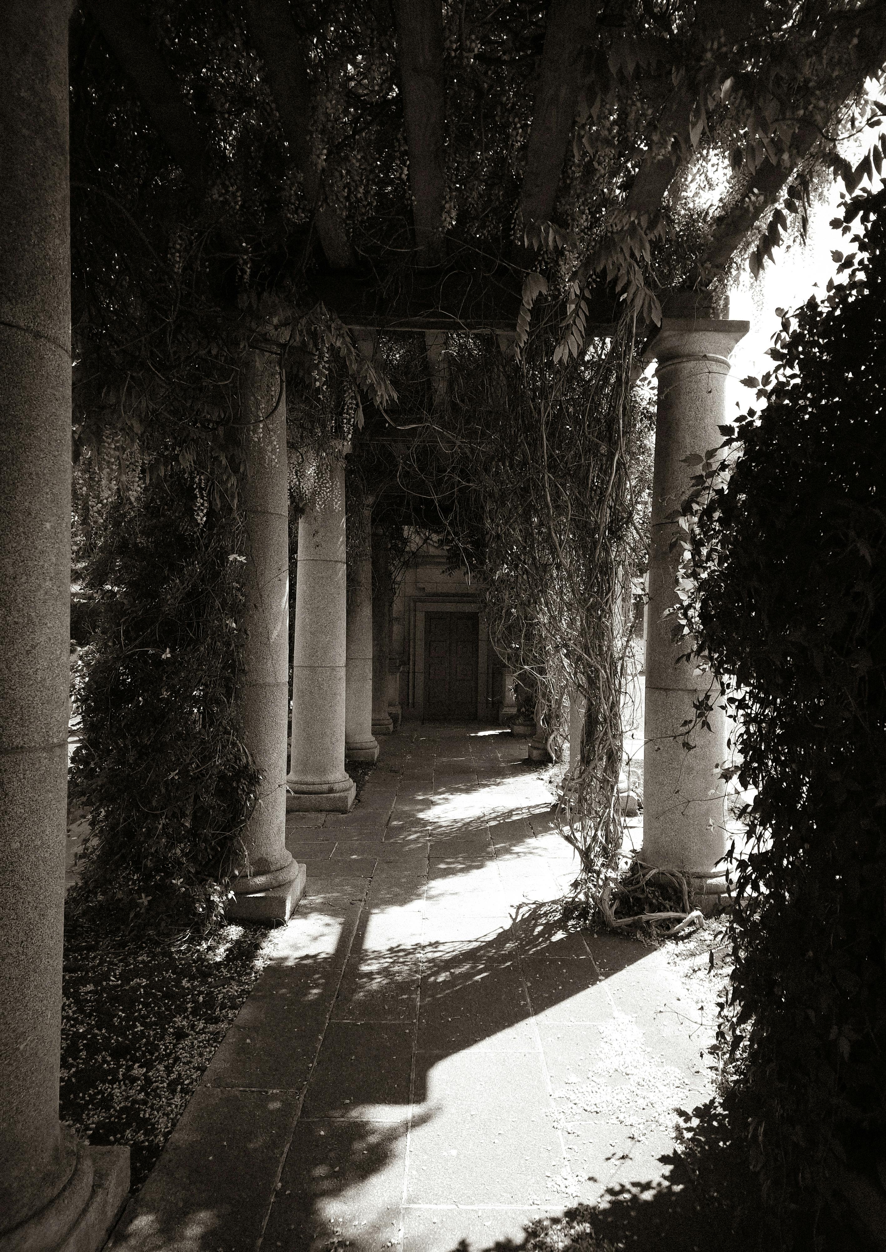 Plants around Colonnade · Free Stock Photo