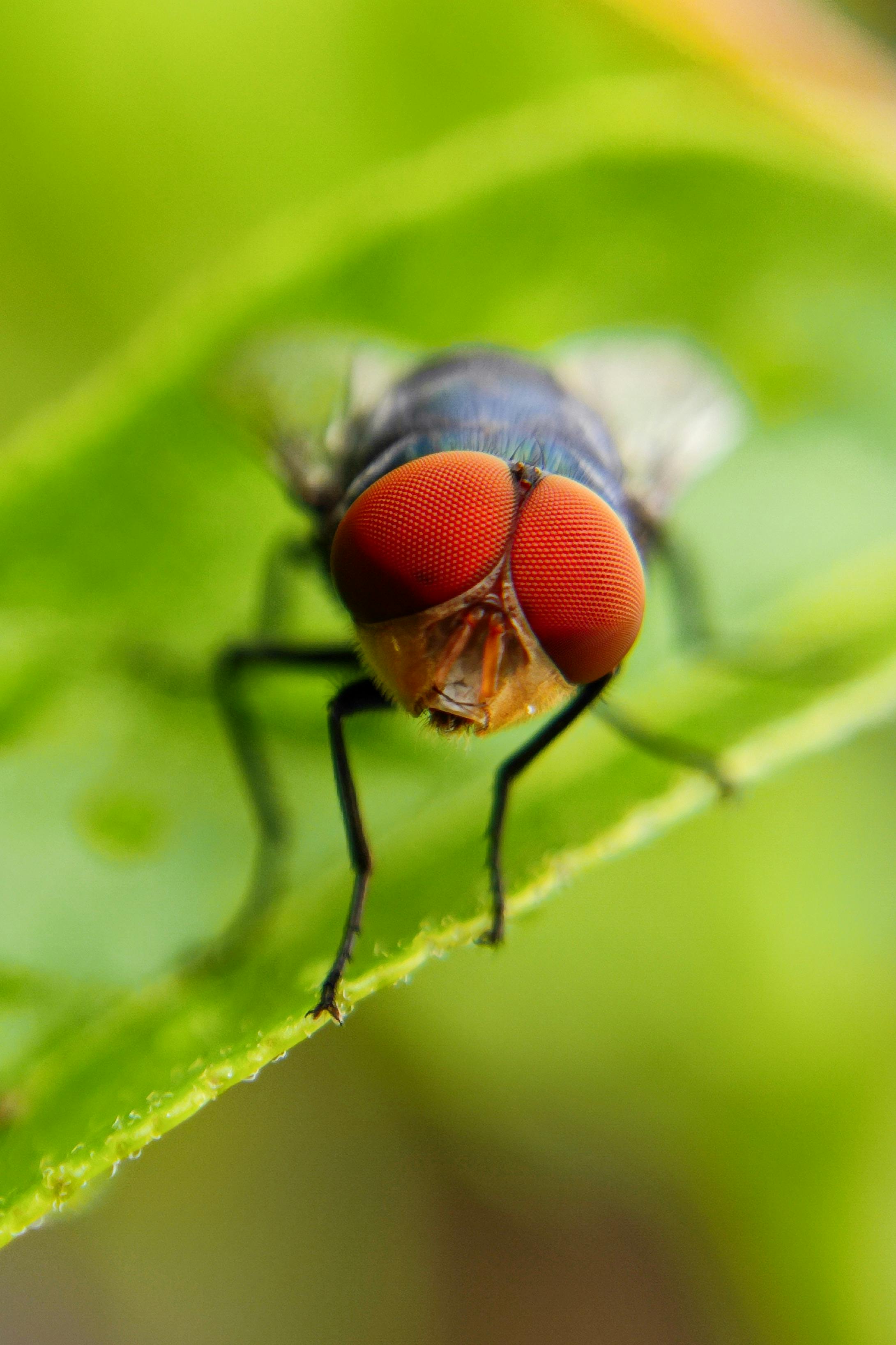 Shyamli Kashyap - Photography