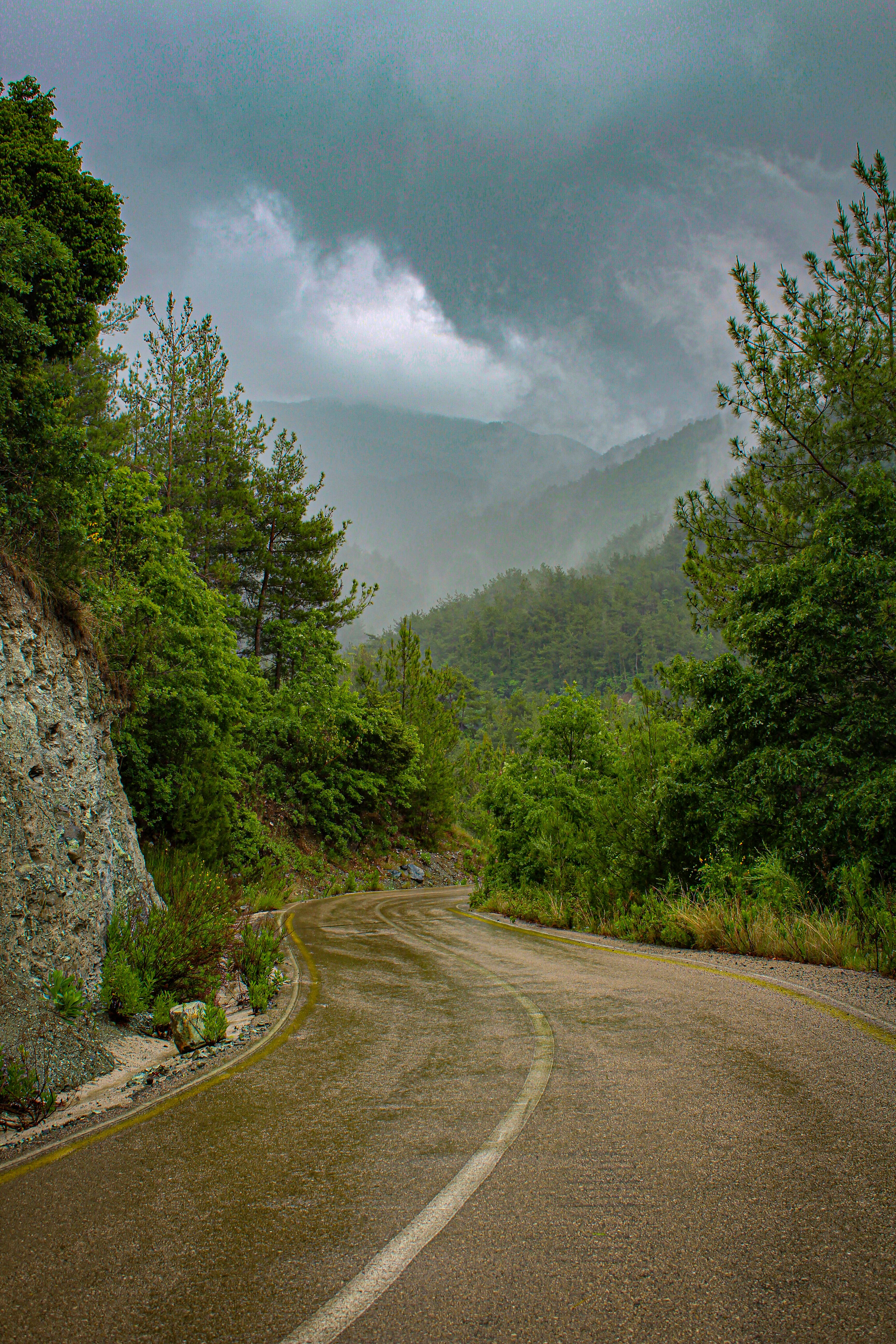 Wet Asphalt Road Snaking through Mountain Forest · Free Stock Photo