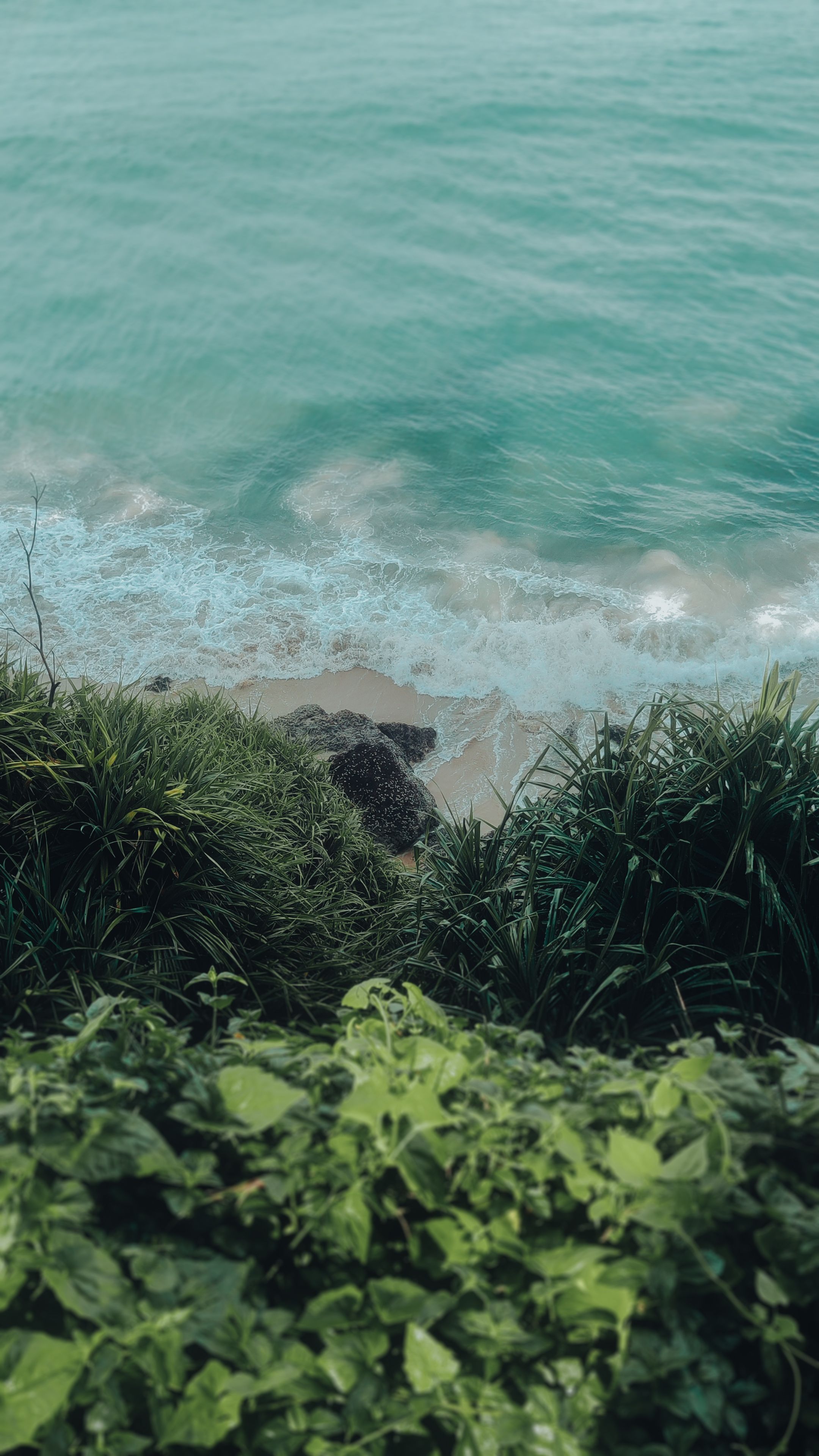 Varkala Images Photos, Download The BEST Free Varkala Images Stock ...