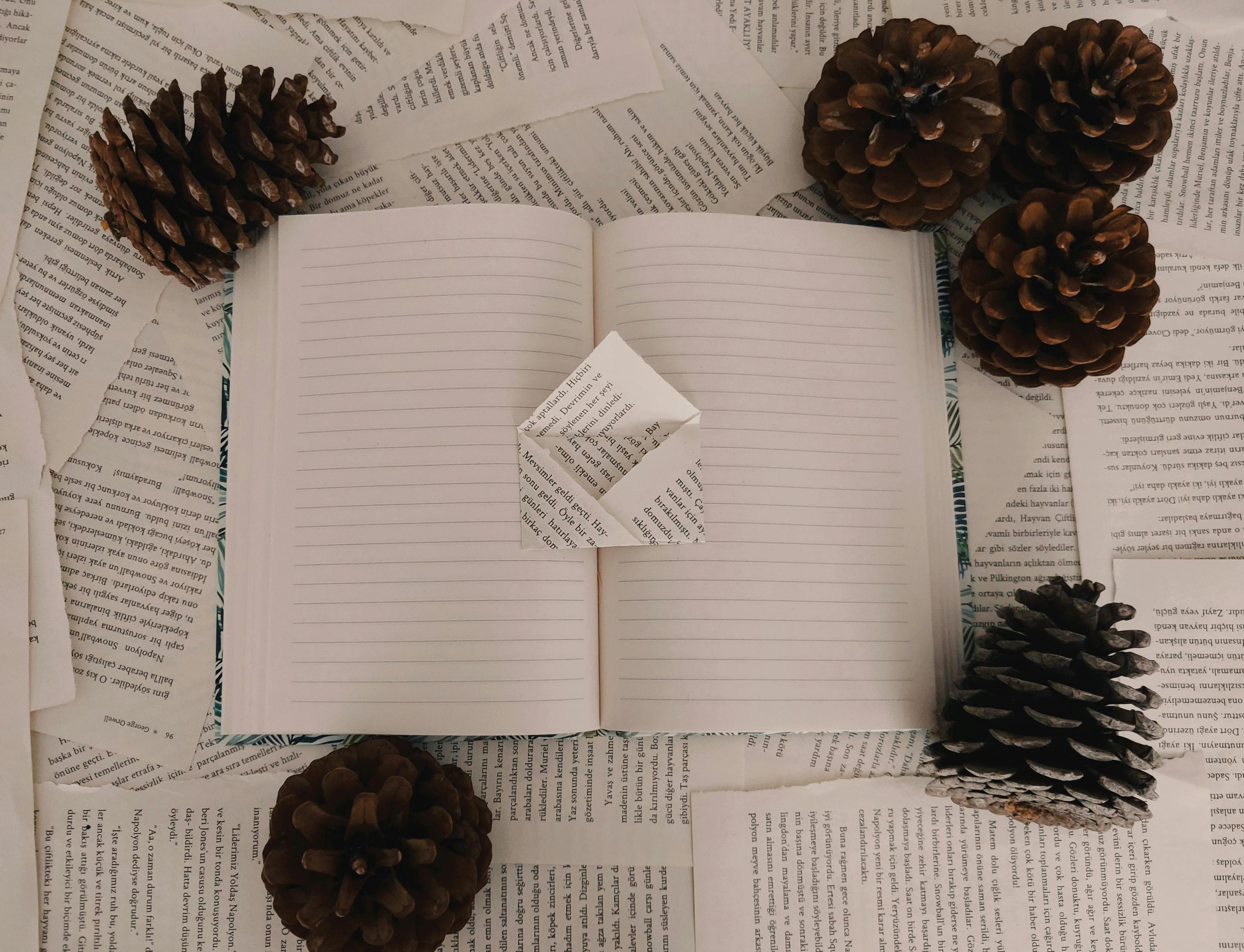 Print Via Photos, Download The BEST Free Print Via Stock Photos & HD Images