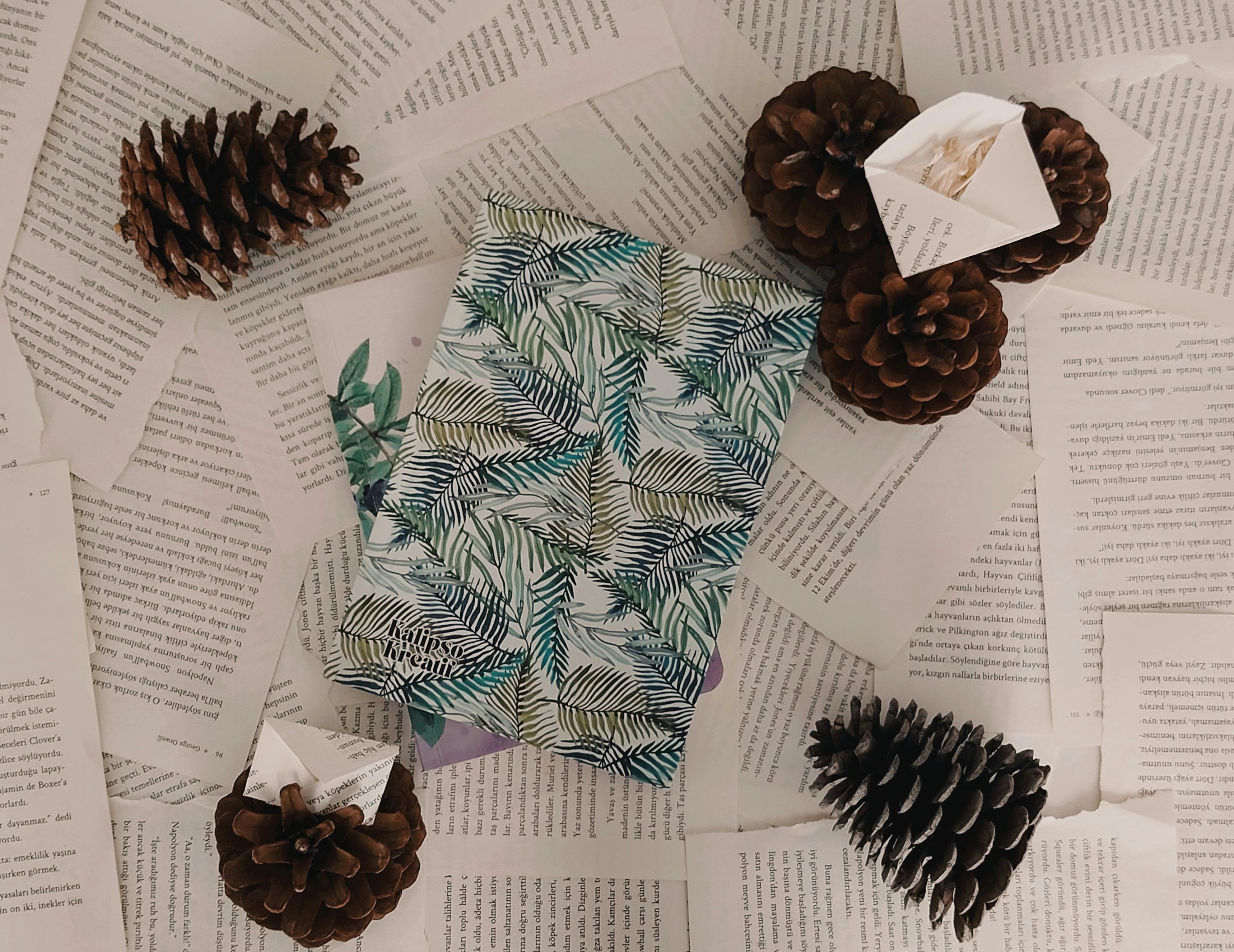 Papers, Envelopes and Cones · Free Stock Photo