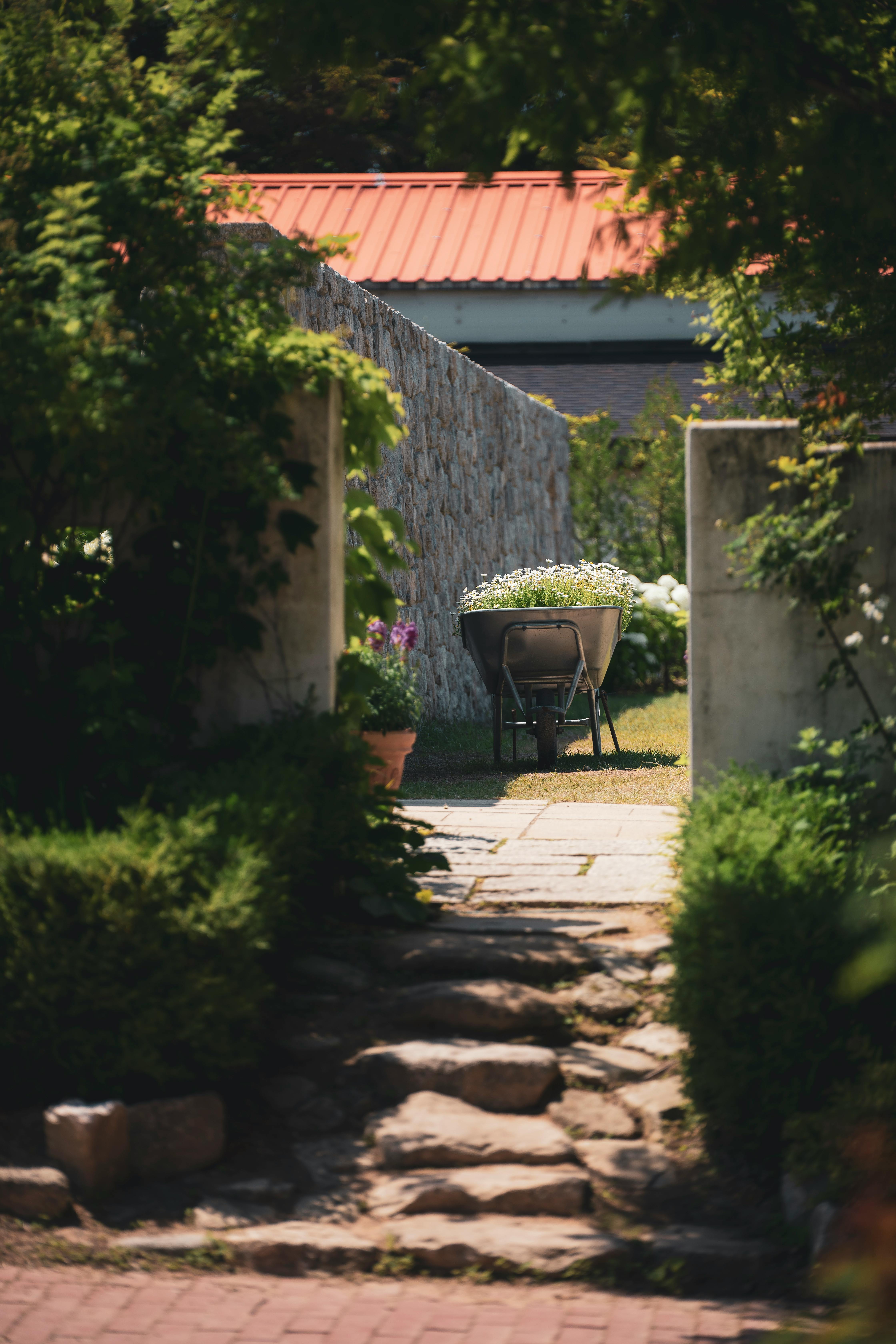 Fence. Photos, Download The BEST Free Fence. Stock Photos & HD Images