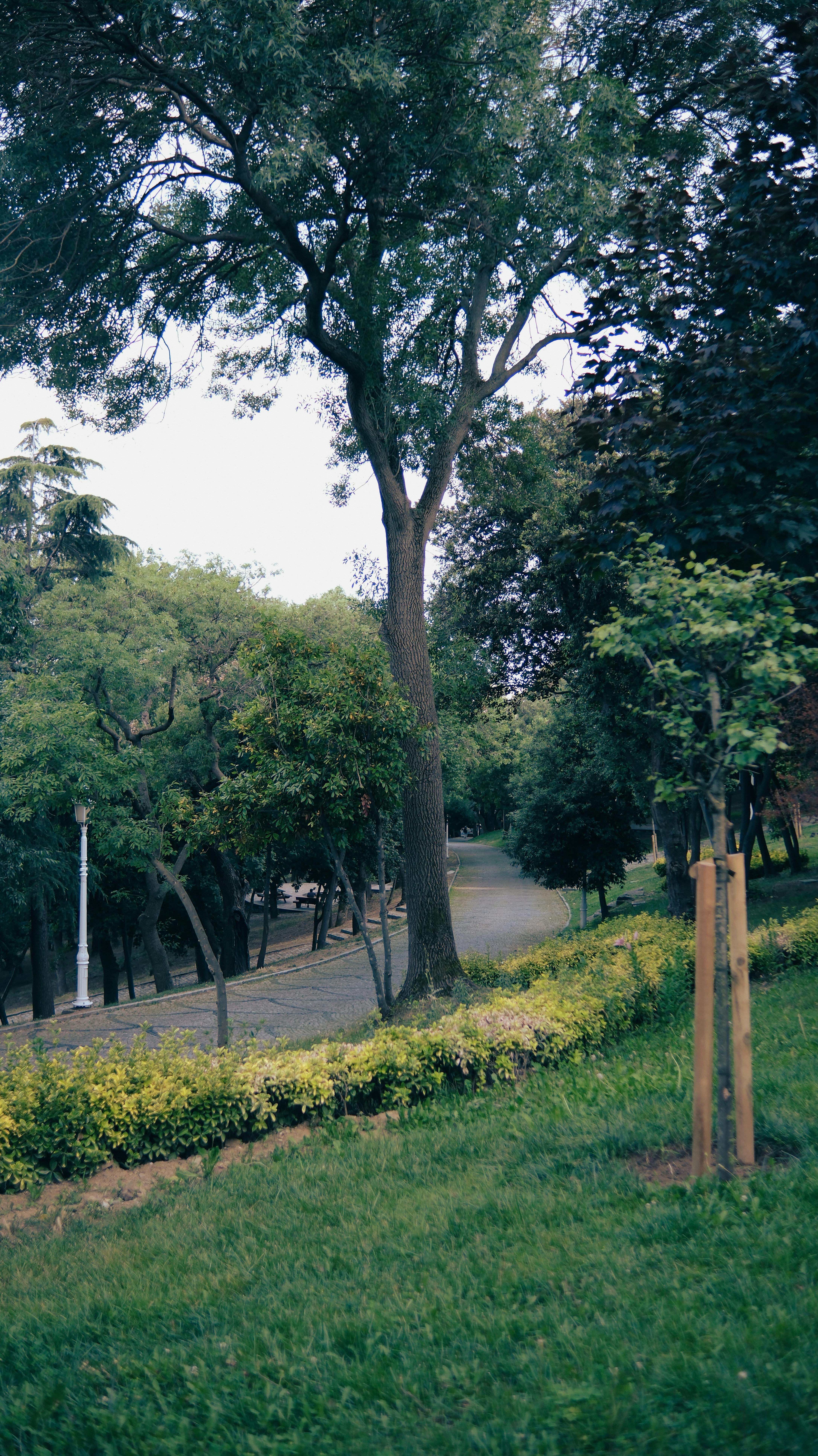 Wide Footpath Photos, Download The BEST Free Wide Footpath Stock Photos ...