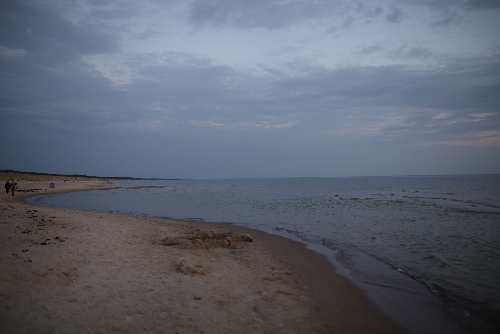 Morning Gloom Photos, Download The BEST Free Morning Gloom Stock Photos ...
