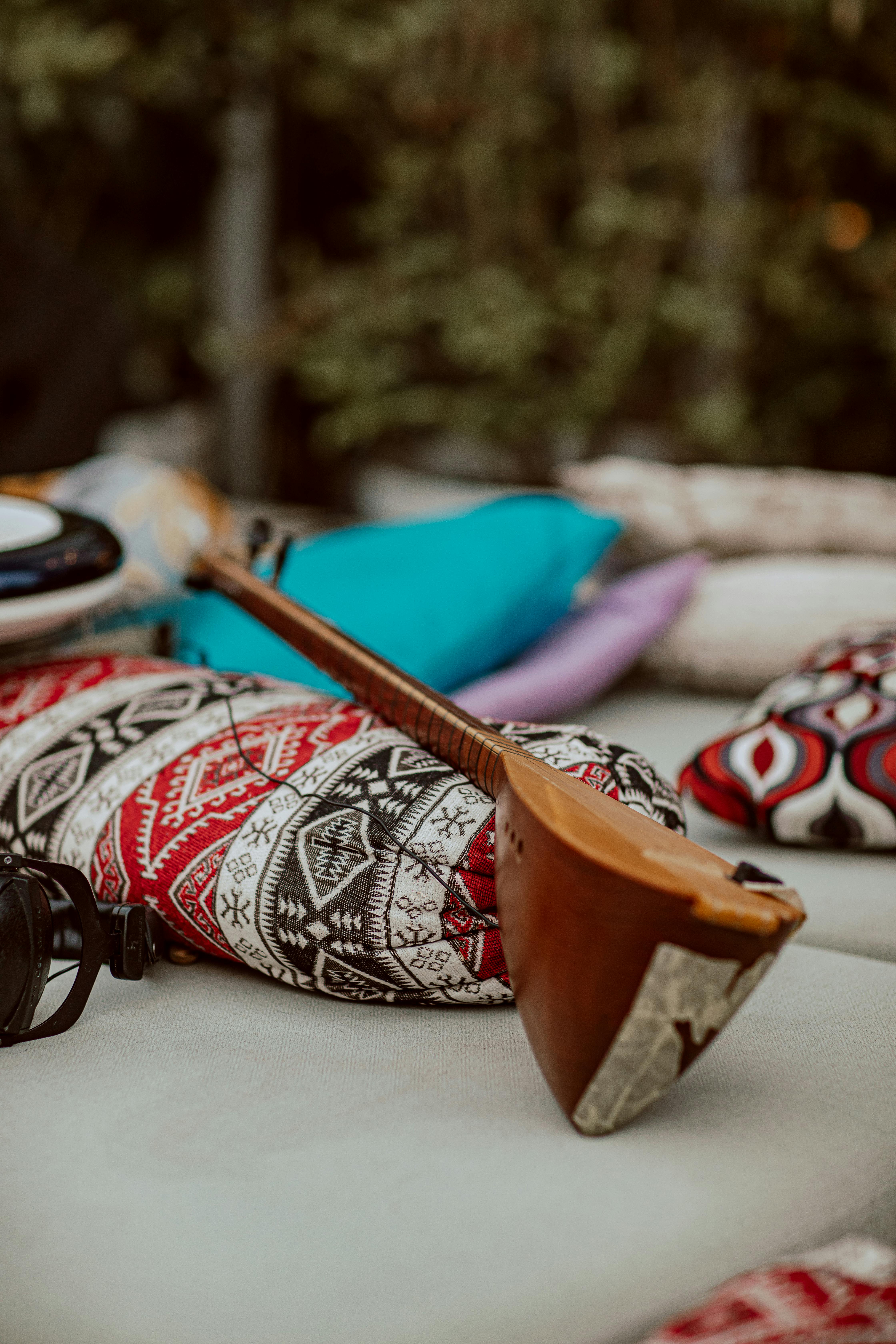 A Small Bowed String Instrument · Free Stock Photo