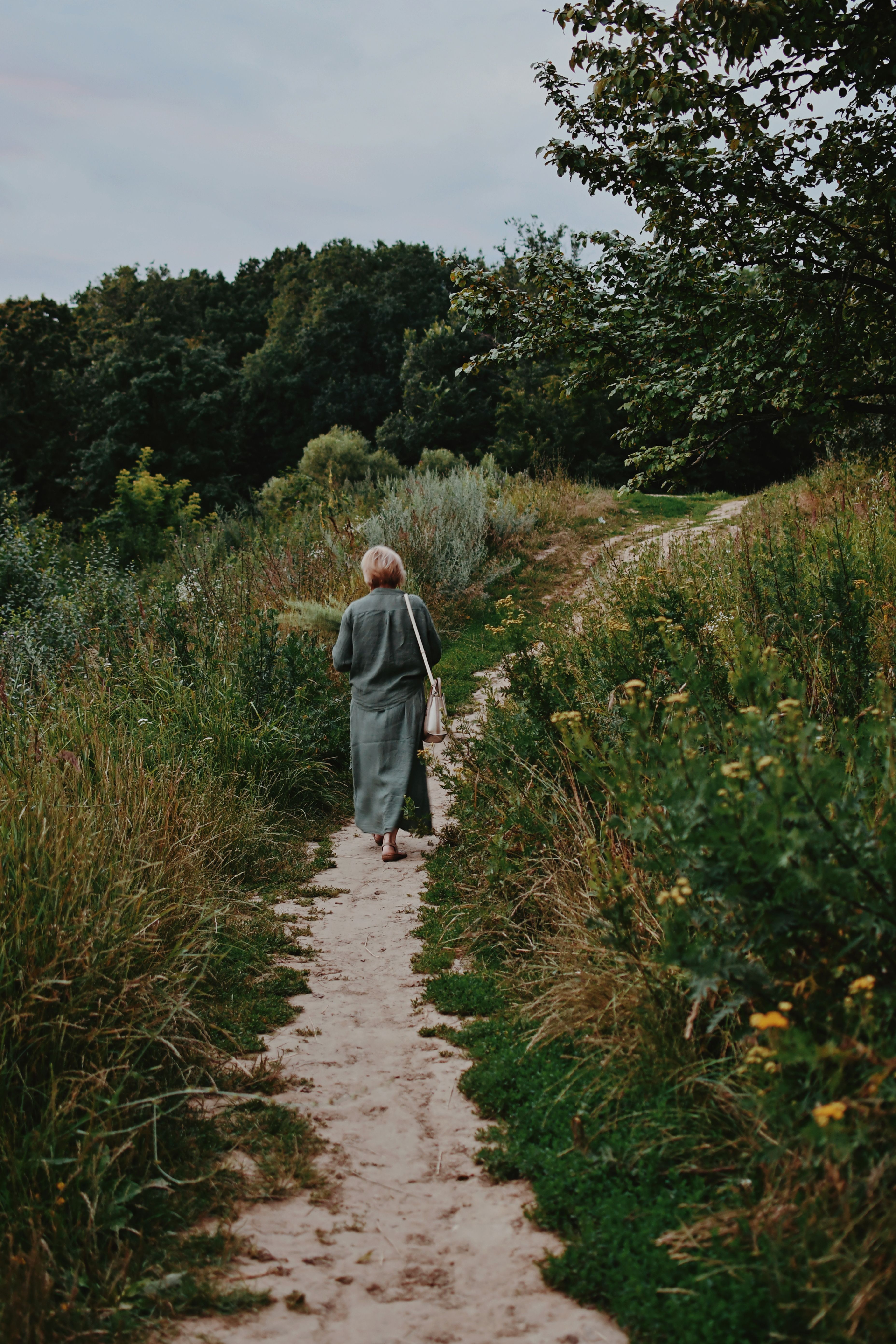 Person in Traditional Clothing Walking towards Bushes · Free Stock Photo