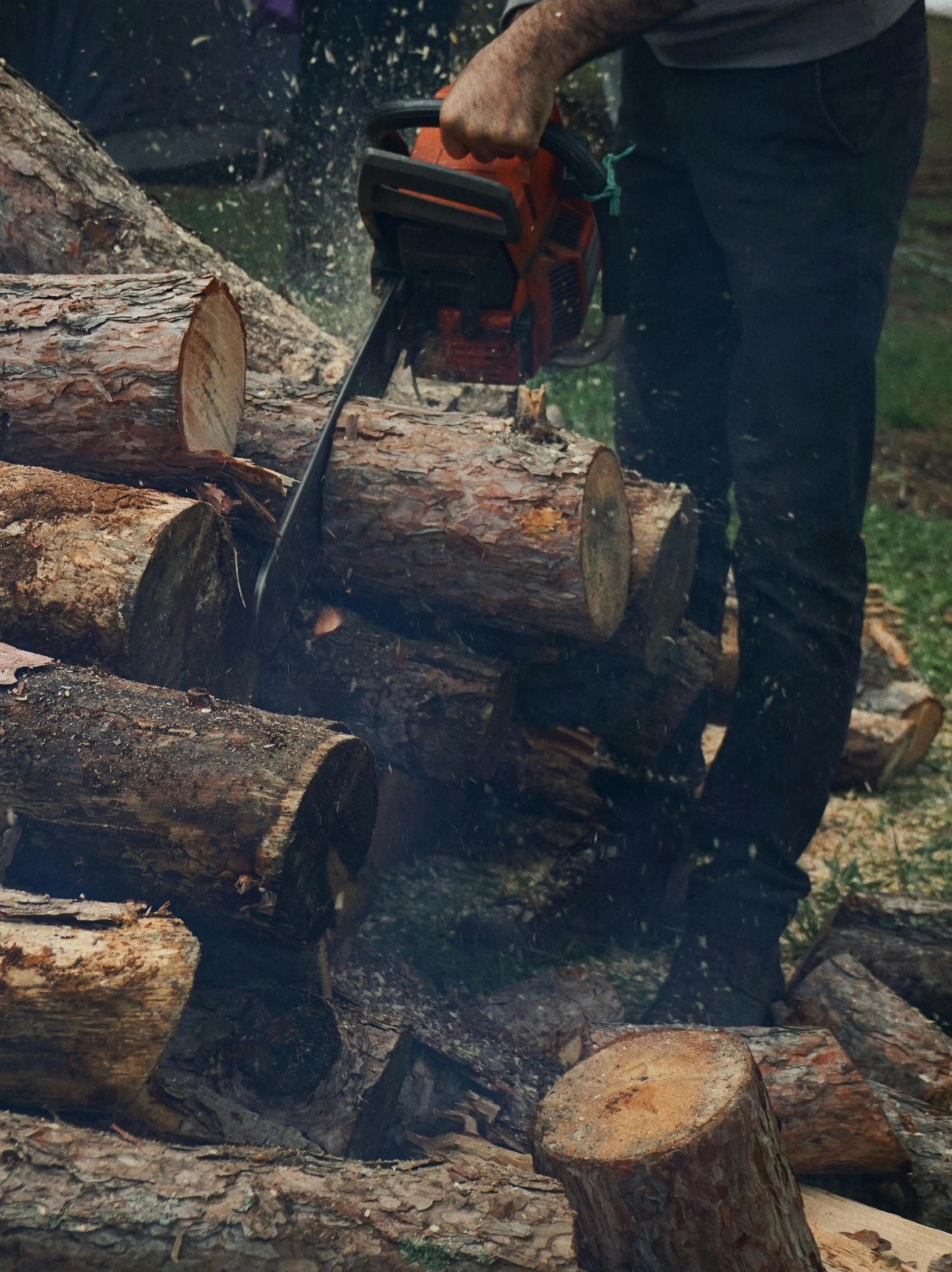 Man Cutting Wood with Chainsaw · Free Stock Photo