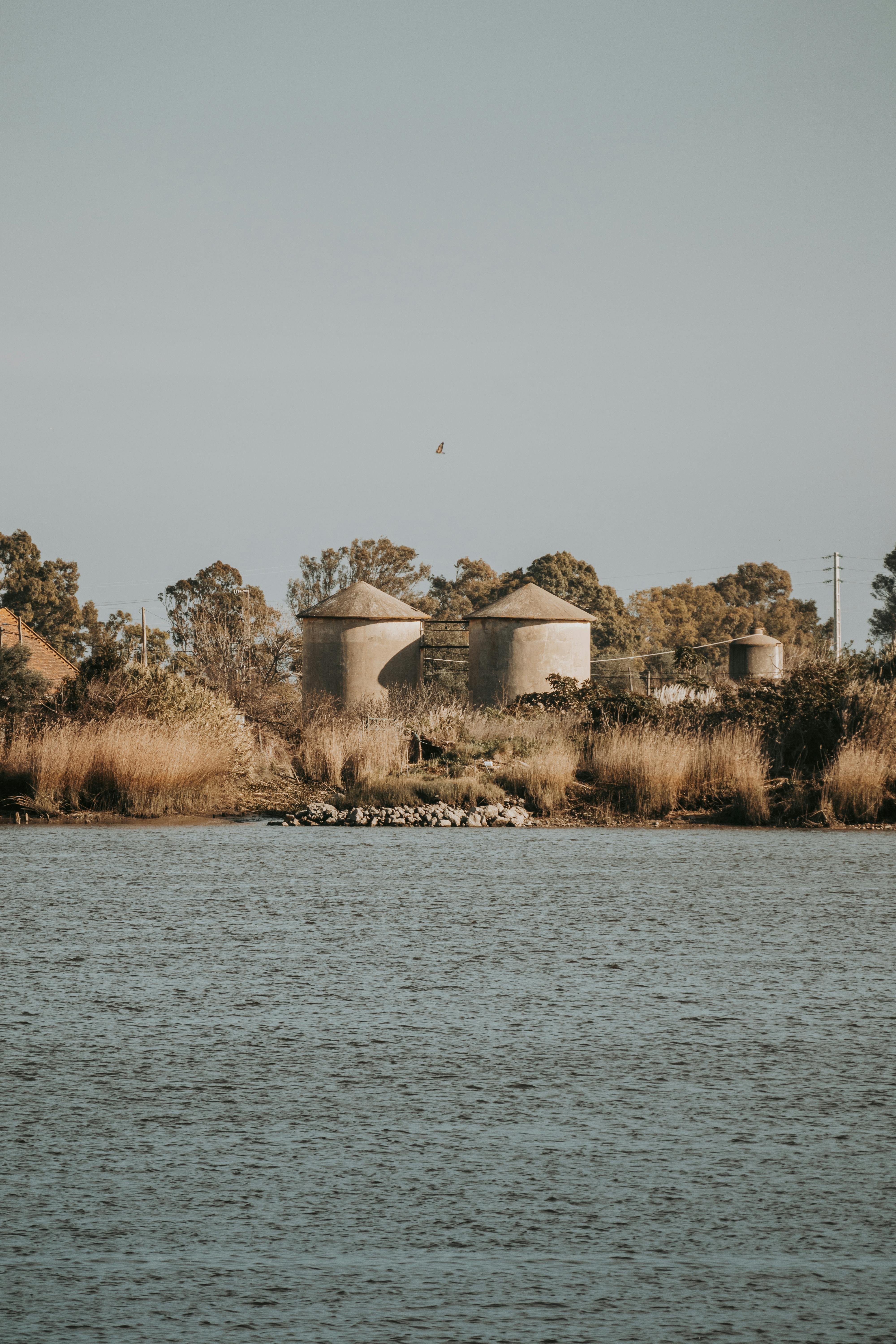 Eurooppalainen Tejo Photos, Download The BEST Free Eurooppalainen Tejo ...