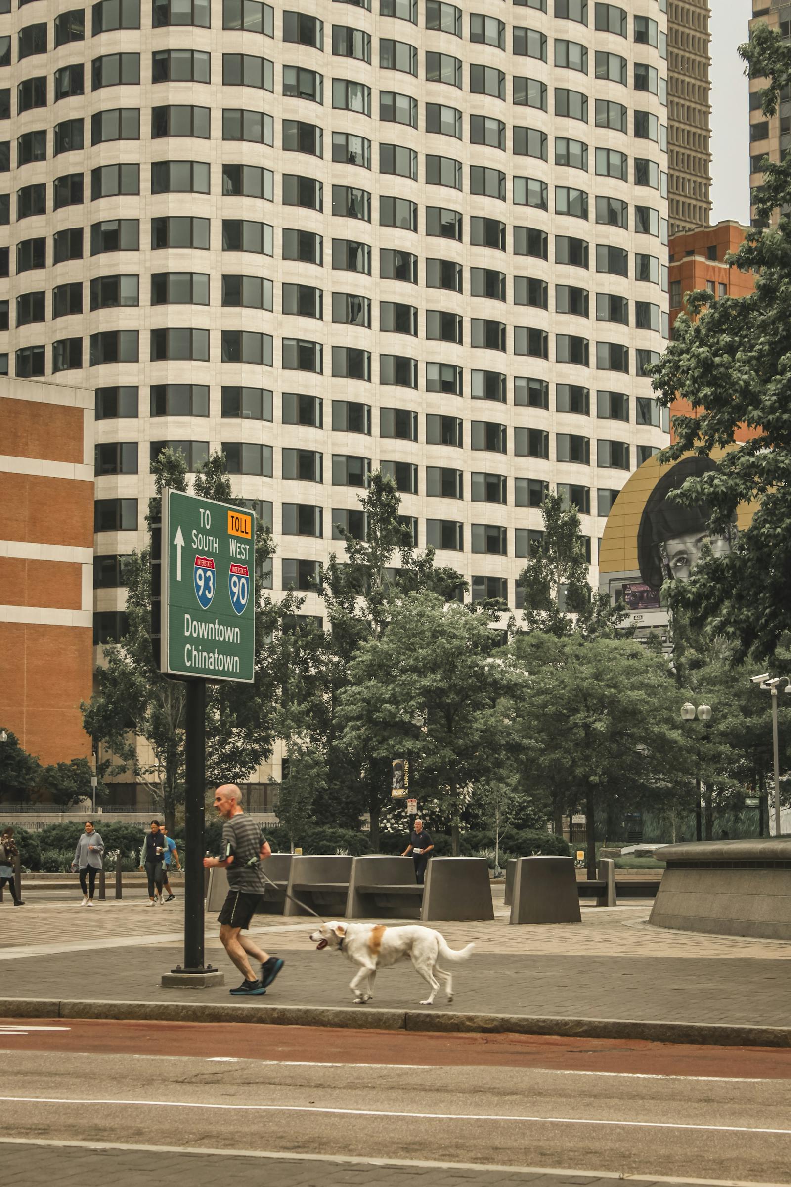 The City Photos, Download The BEST Free The City Stock Photos & HD Images