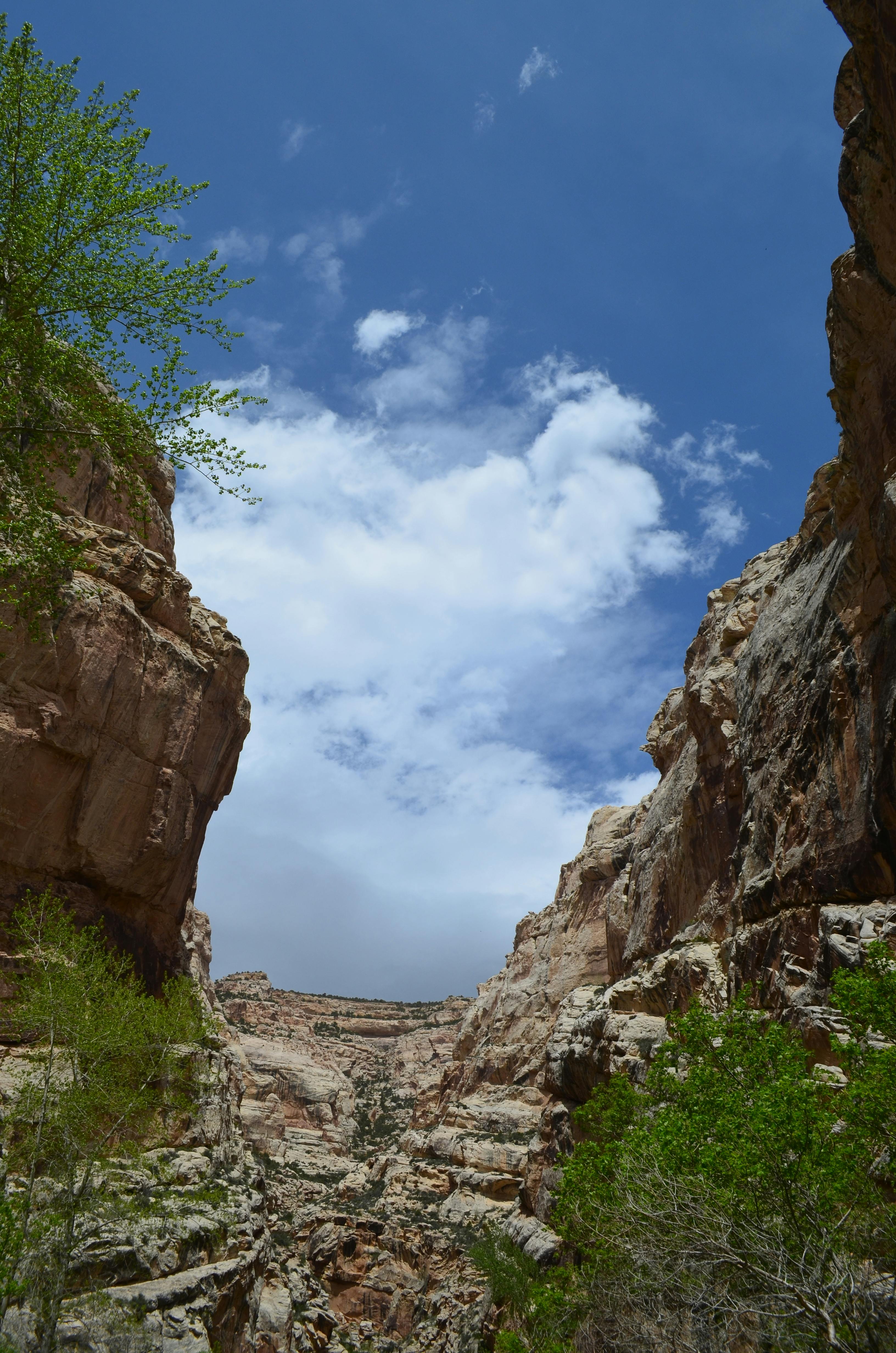 Red Canyon Ranges · Free Stock Photo