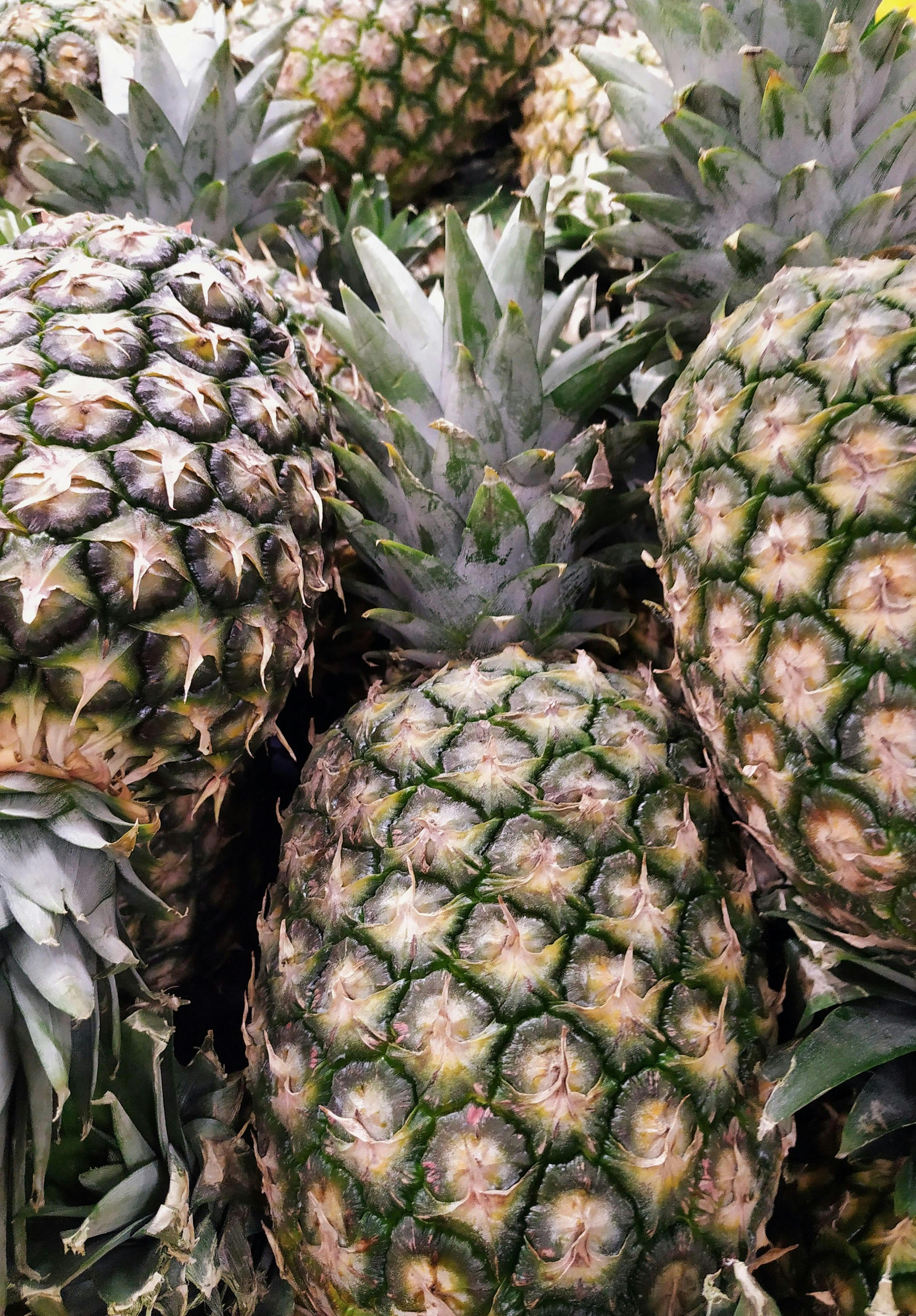 Person Holding Pineapple Fruit · Free Stock Photo