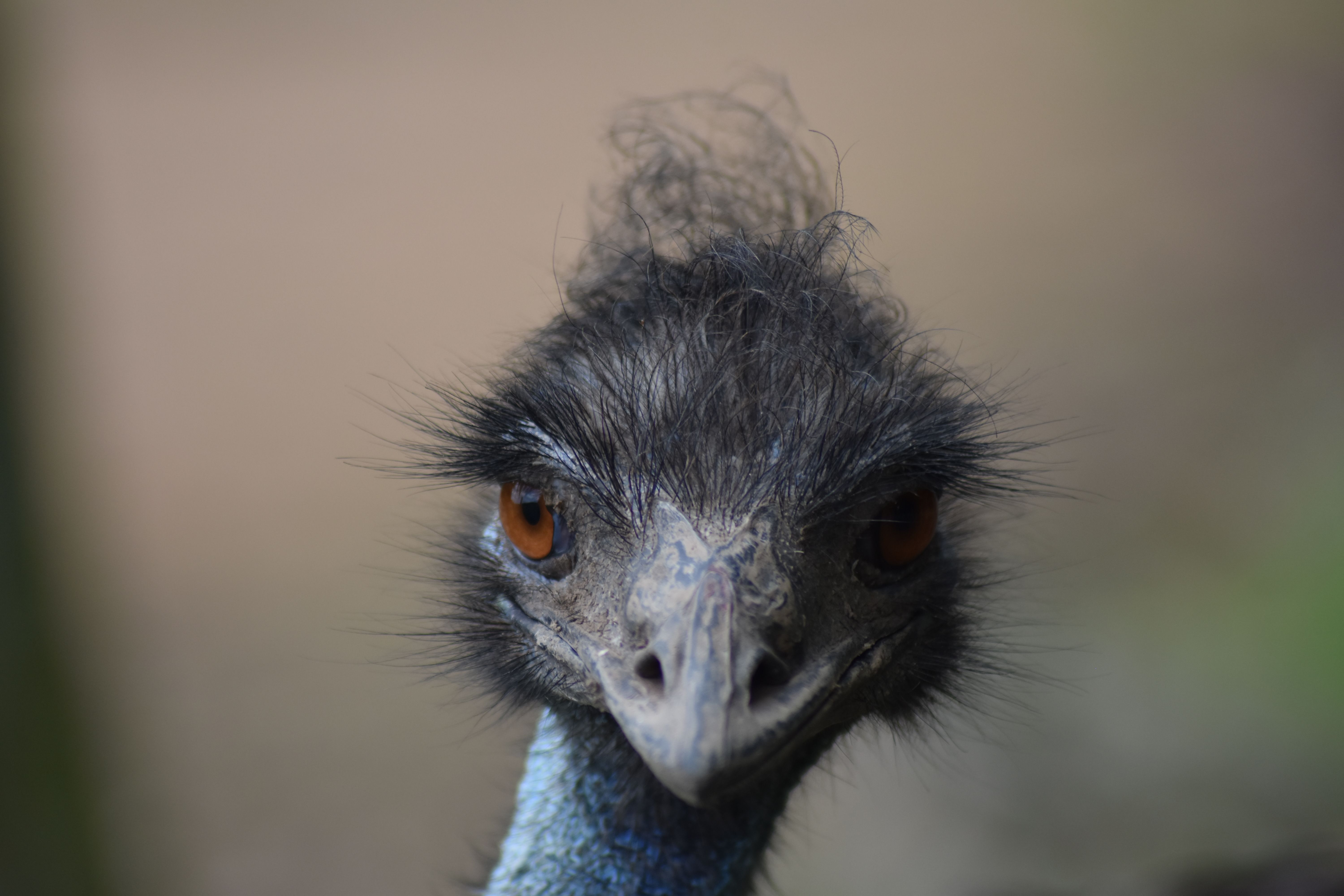 4k Wallpaper Portrait Photos, Download The BEST Free 4k Wallpaper ...