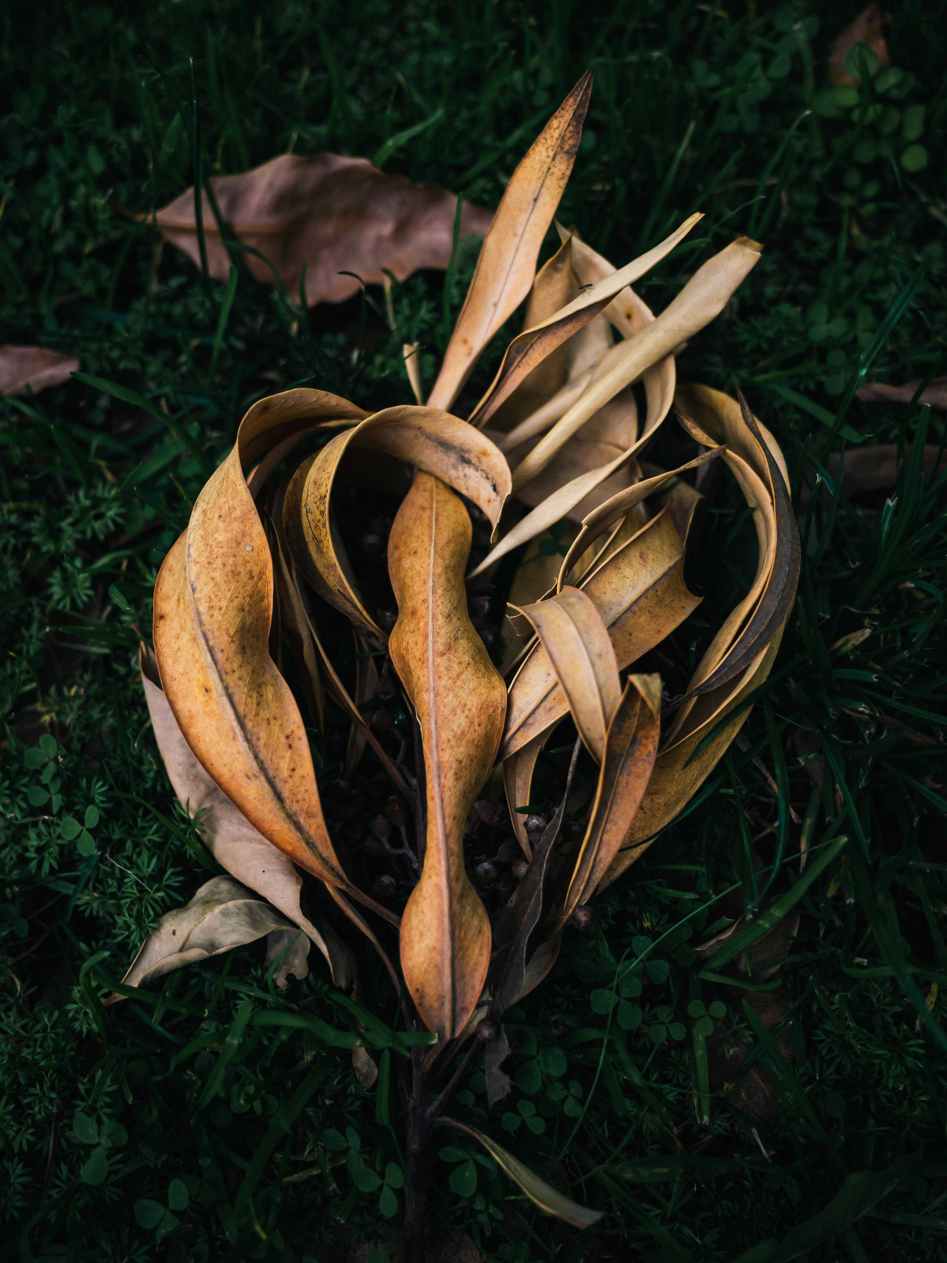 Banshee.Origins Season 1 Photos, Download The BEST Free Banshee.Origins ...