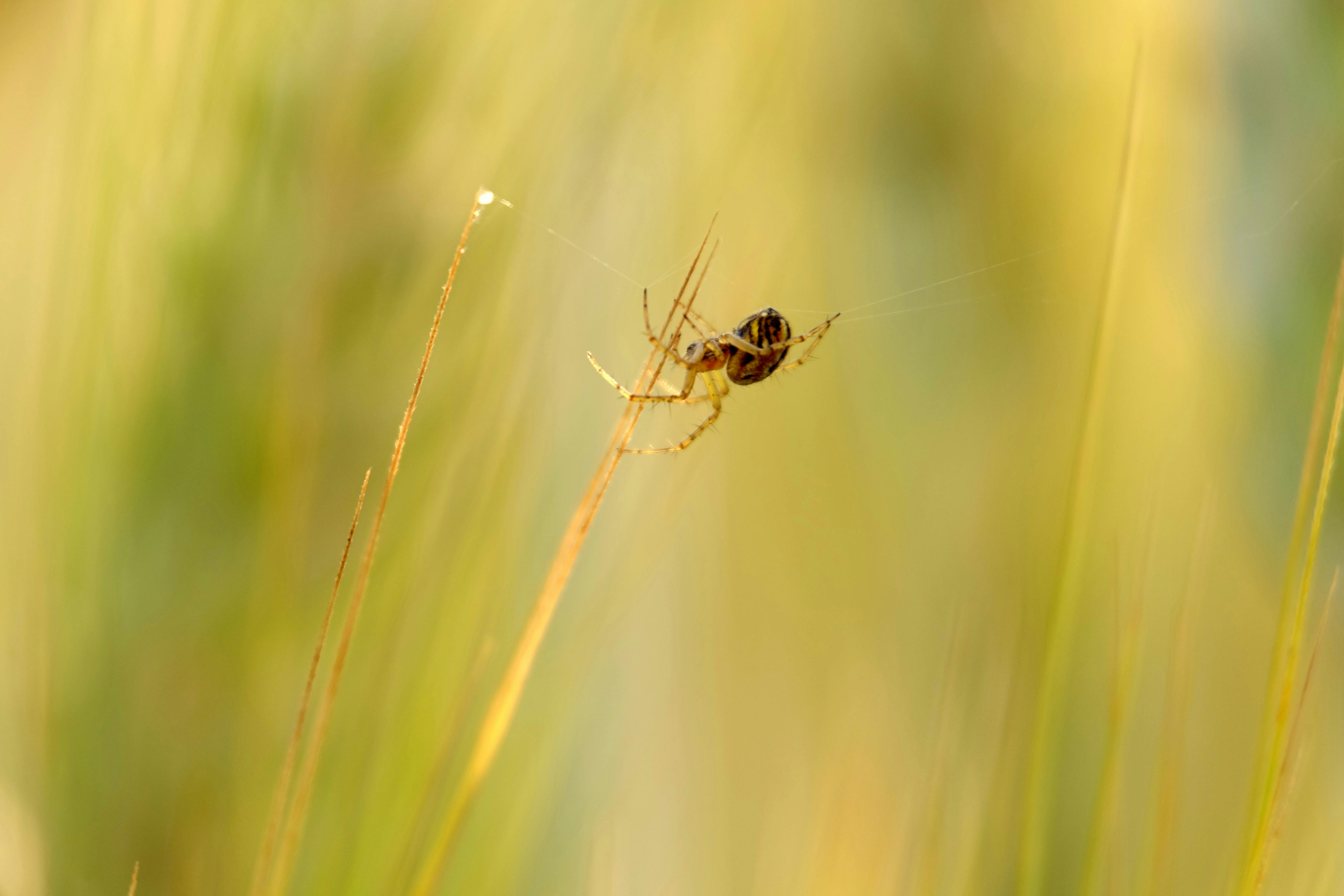 Web Developer Portfolio Background Color Photos, Download The BEST Free ...