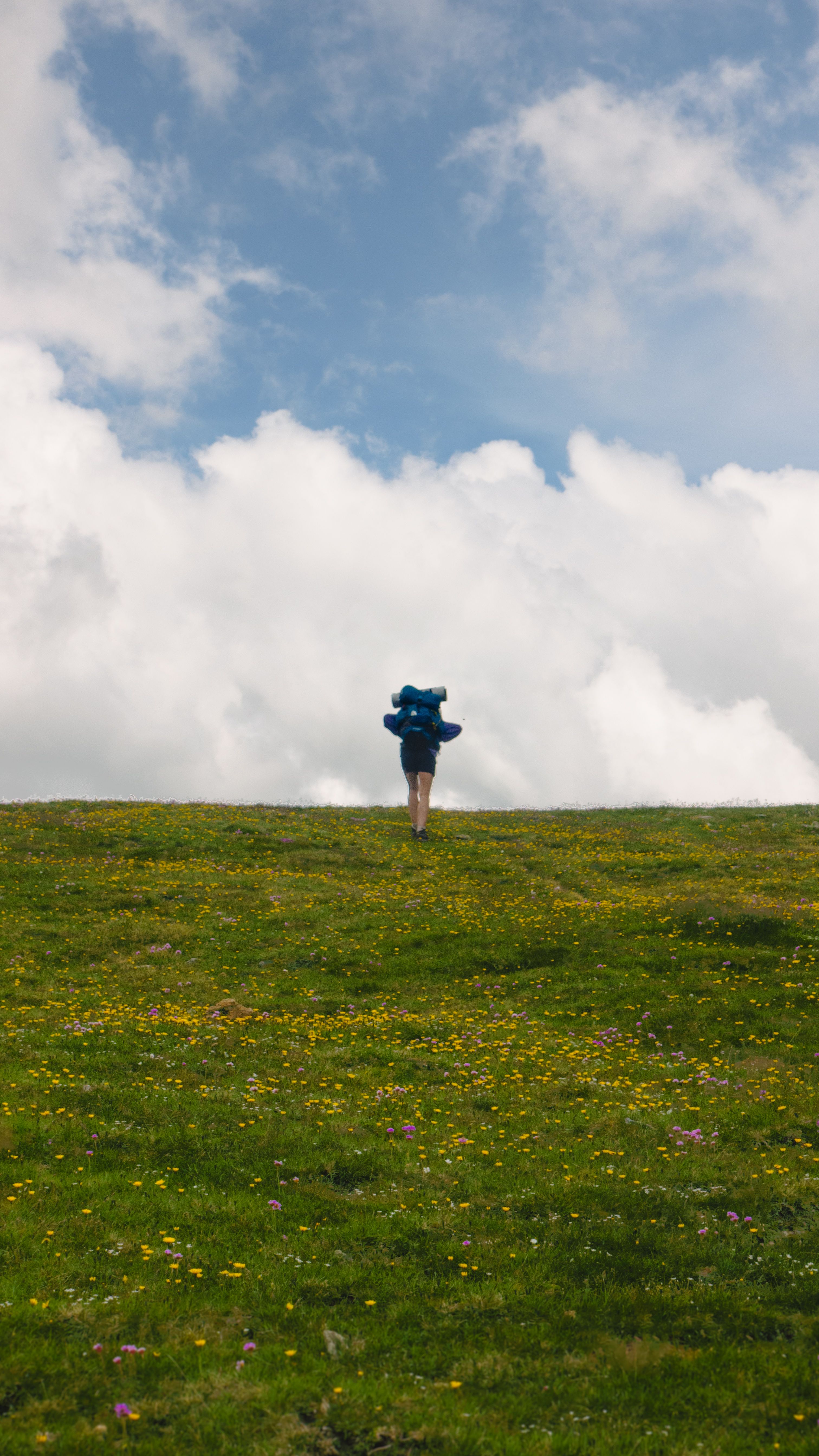 Woman in Green Dress Walking on Meadow with Flowers · Free Stock Photo